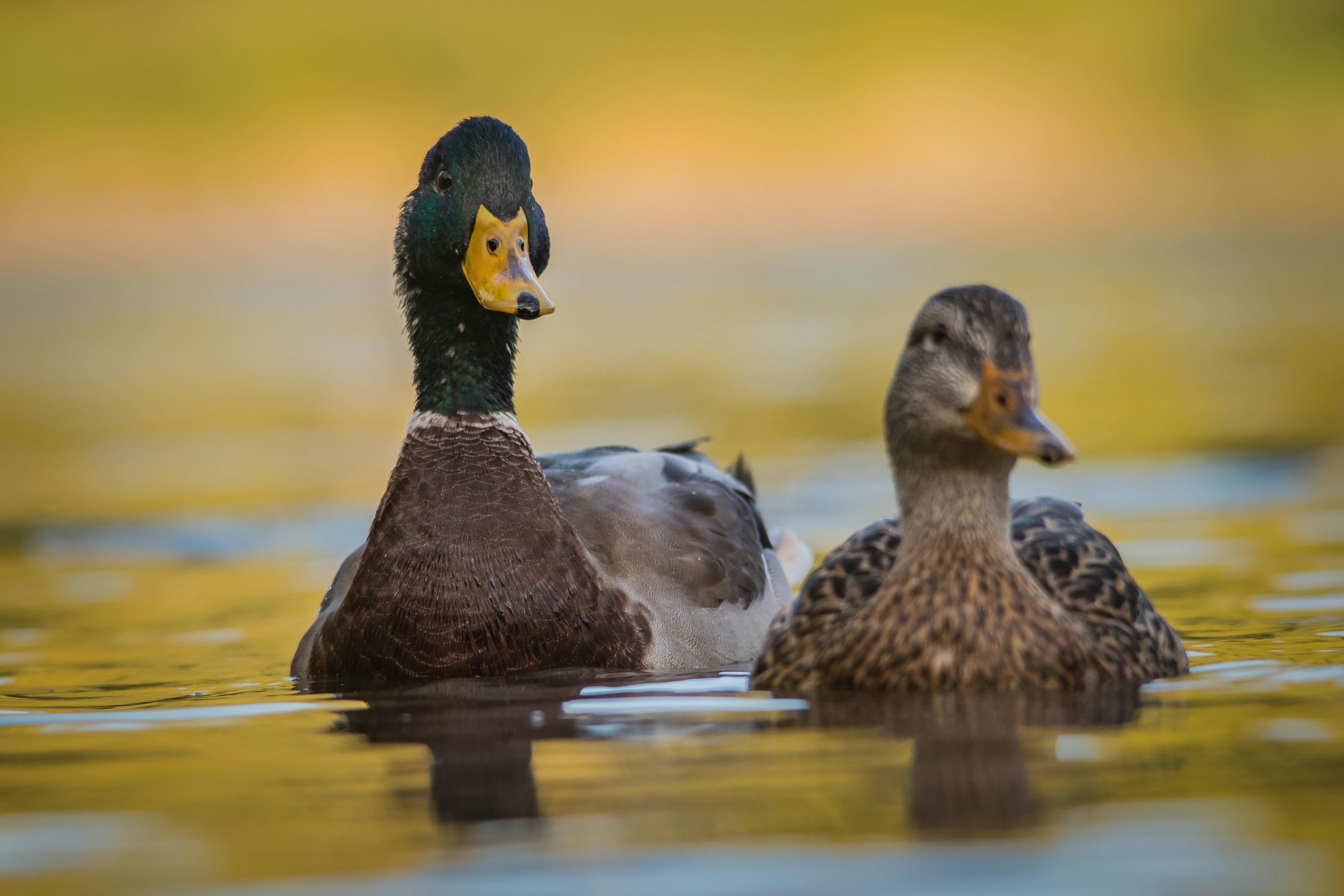 Bill Atlas Photos, Download The BEST Free Bill Atlas Stock Photos & HD ...