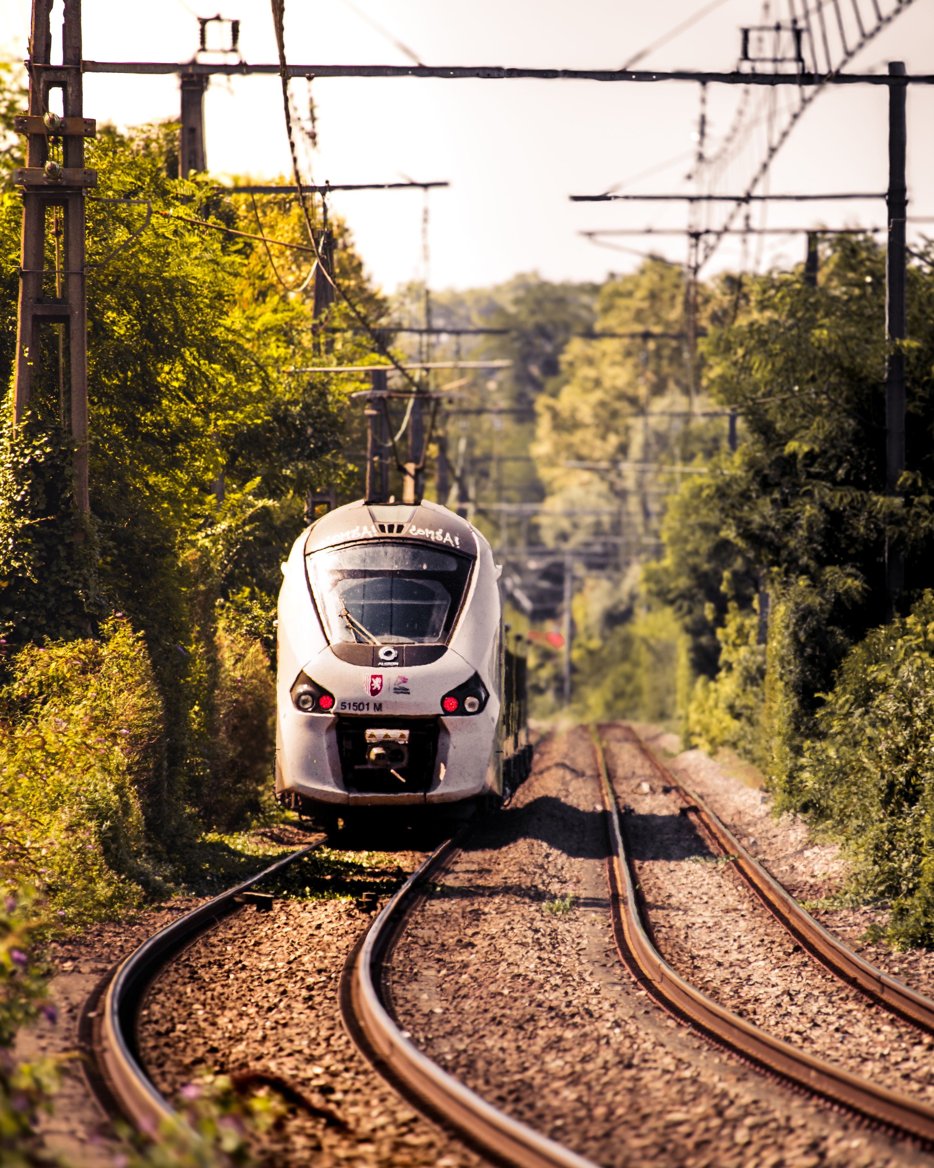 High-Speed Train on Scenic French Railway · Free Stock Photo