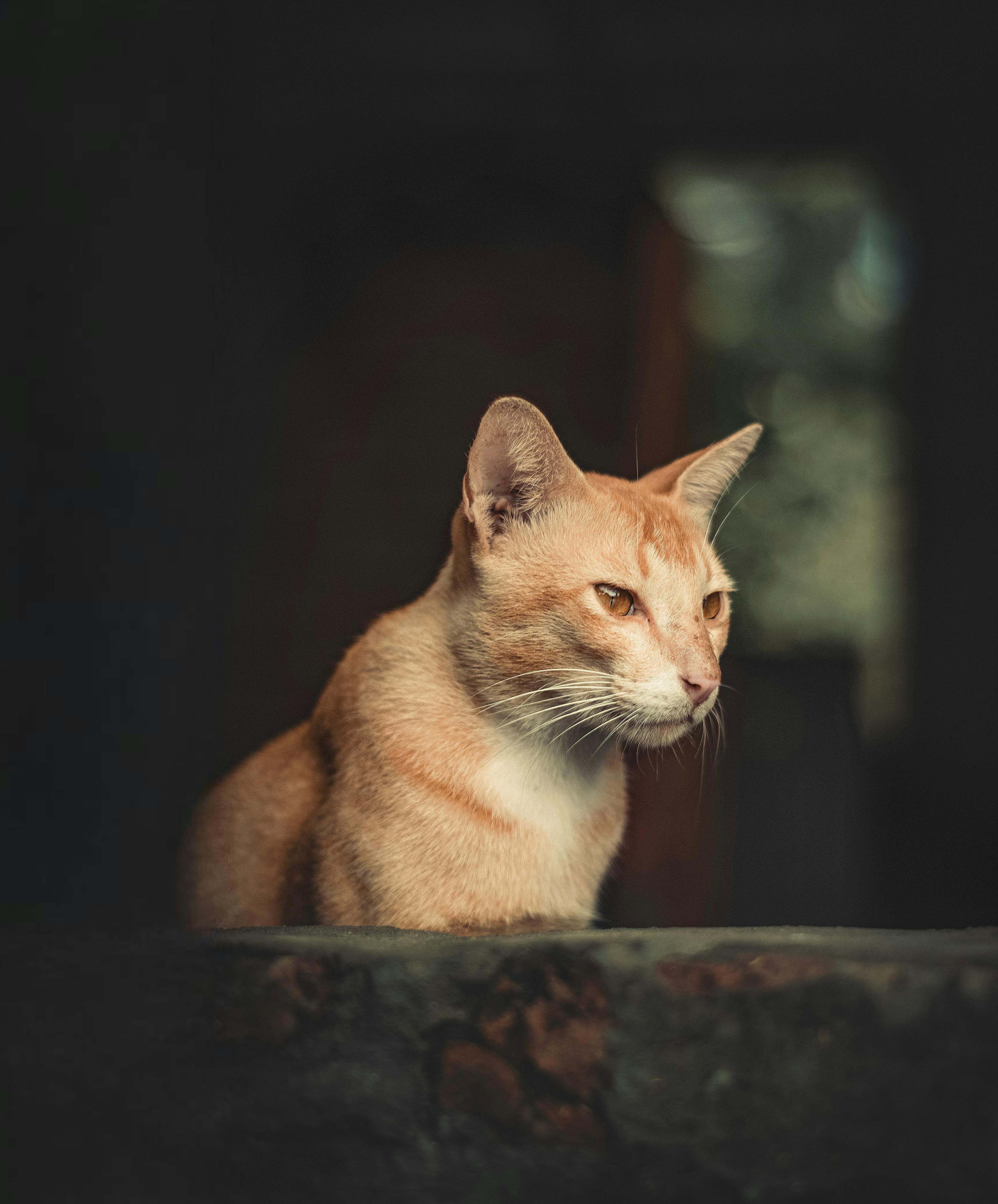 Inside Va Photos, Download The BEST Free Inside Va Stock Photos & HD Images