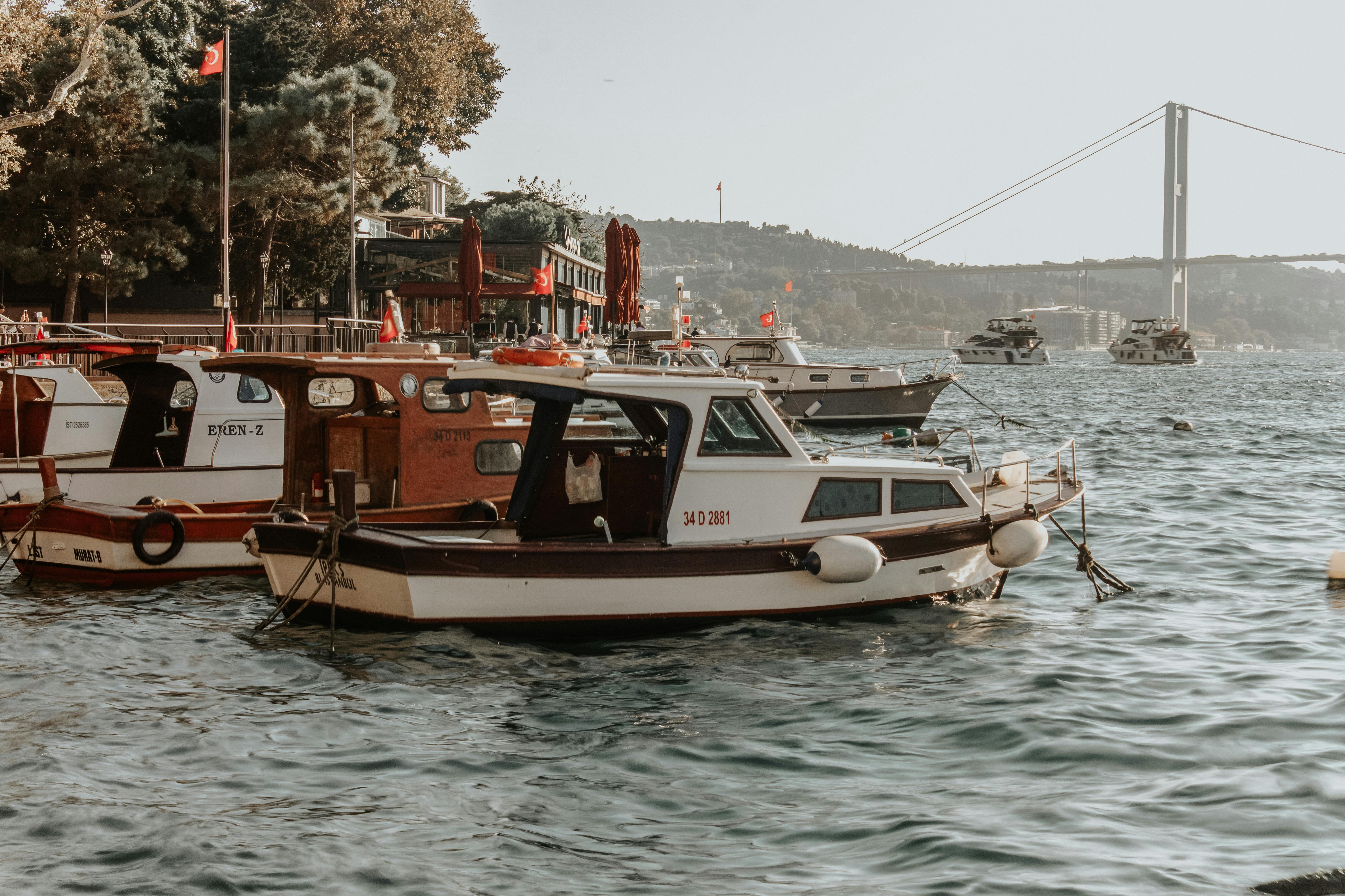 Grebe Continental Photos, Download The BEST Free Grebe Continental ...