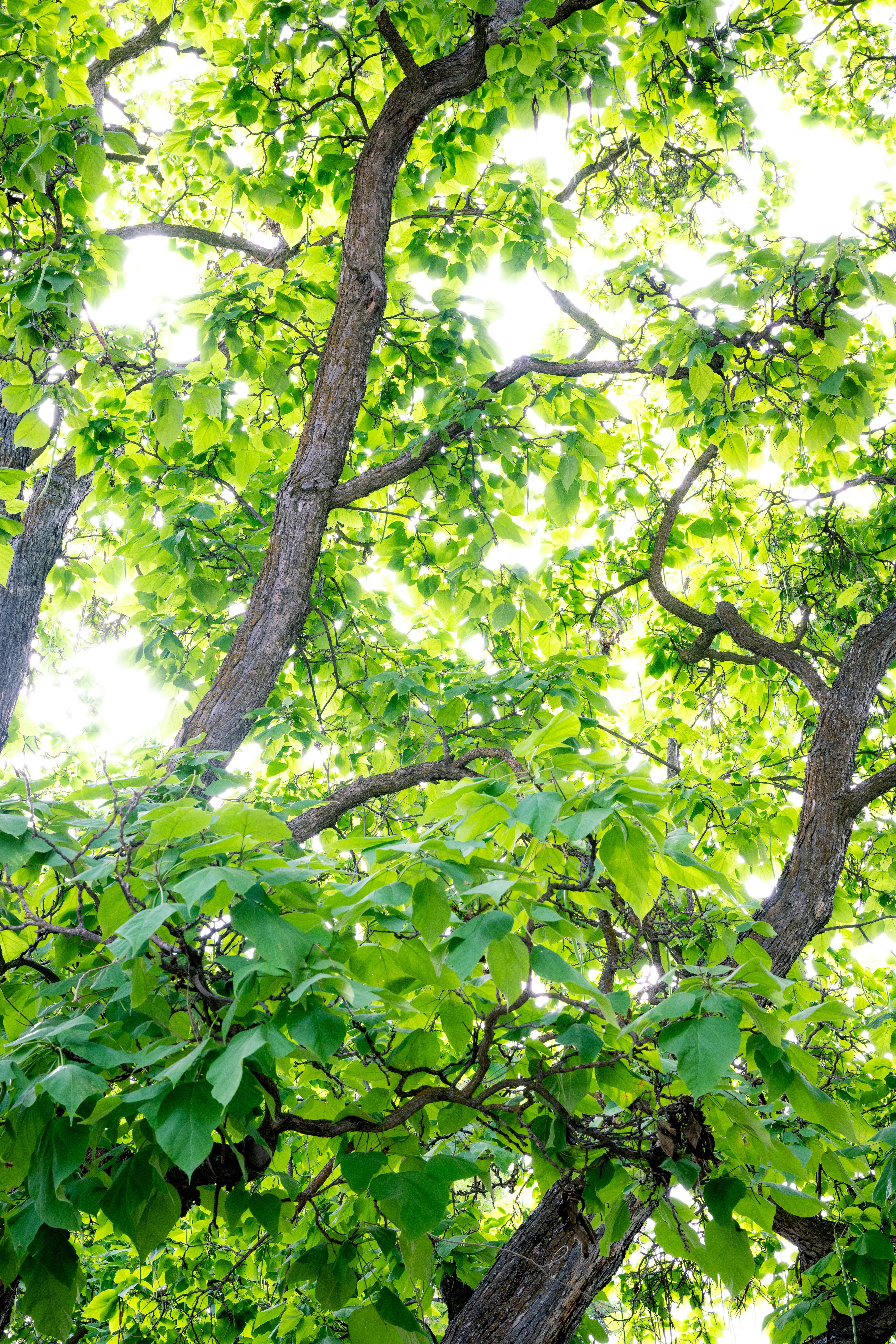 Brett Sayles - Photography