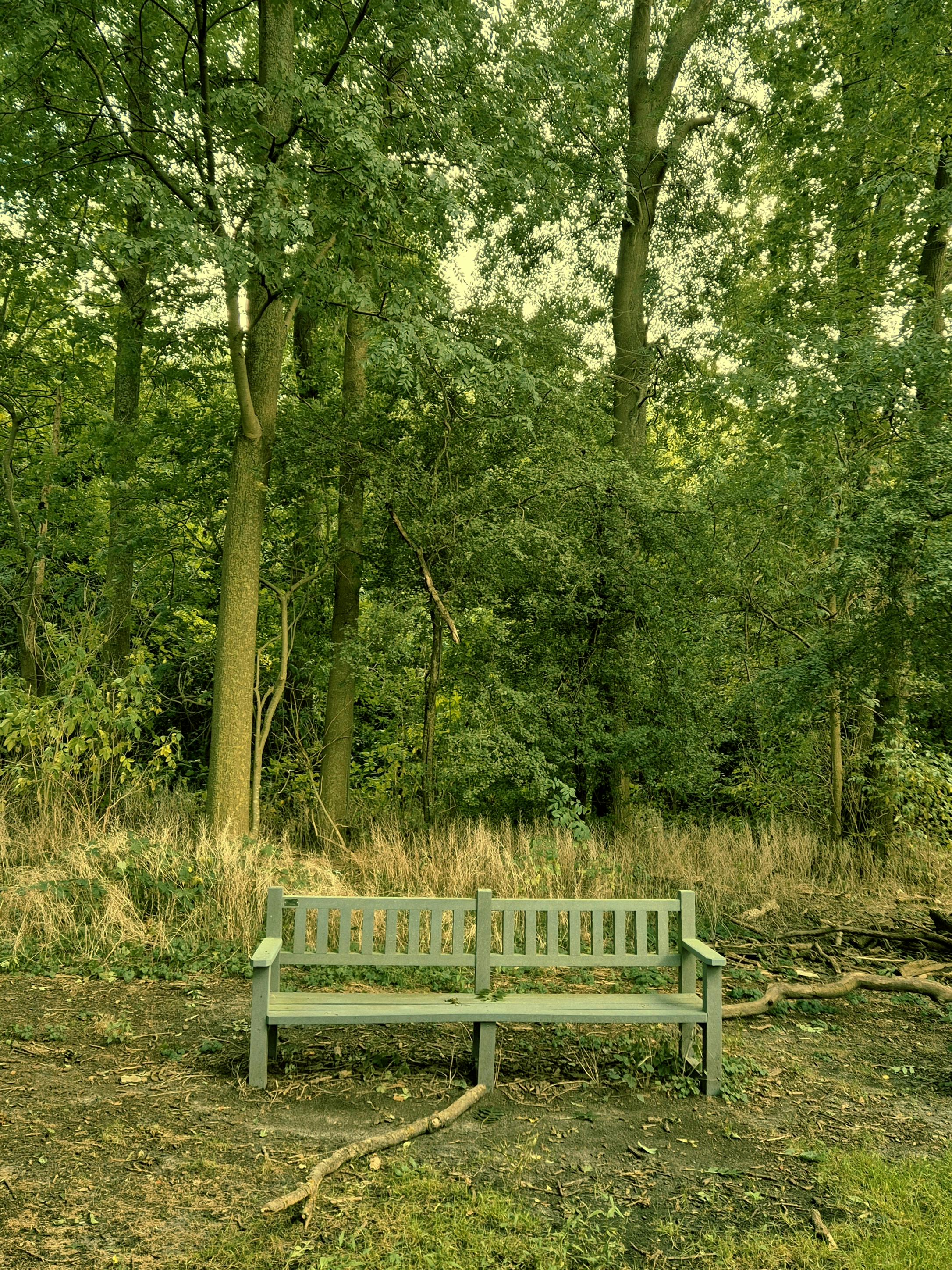 Species Variation Photos, Download The BEST Free Species Variation ...