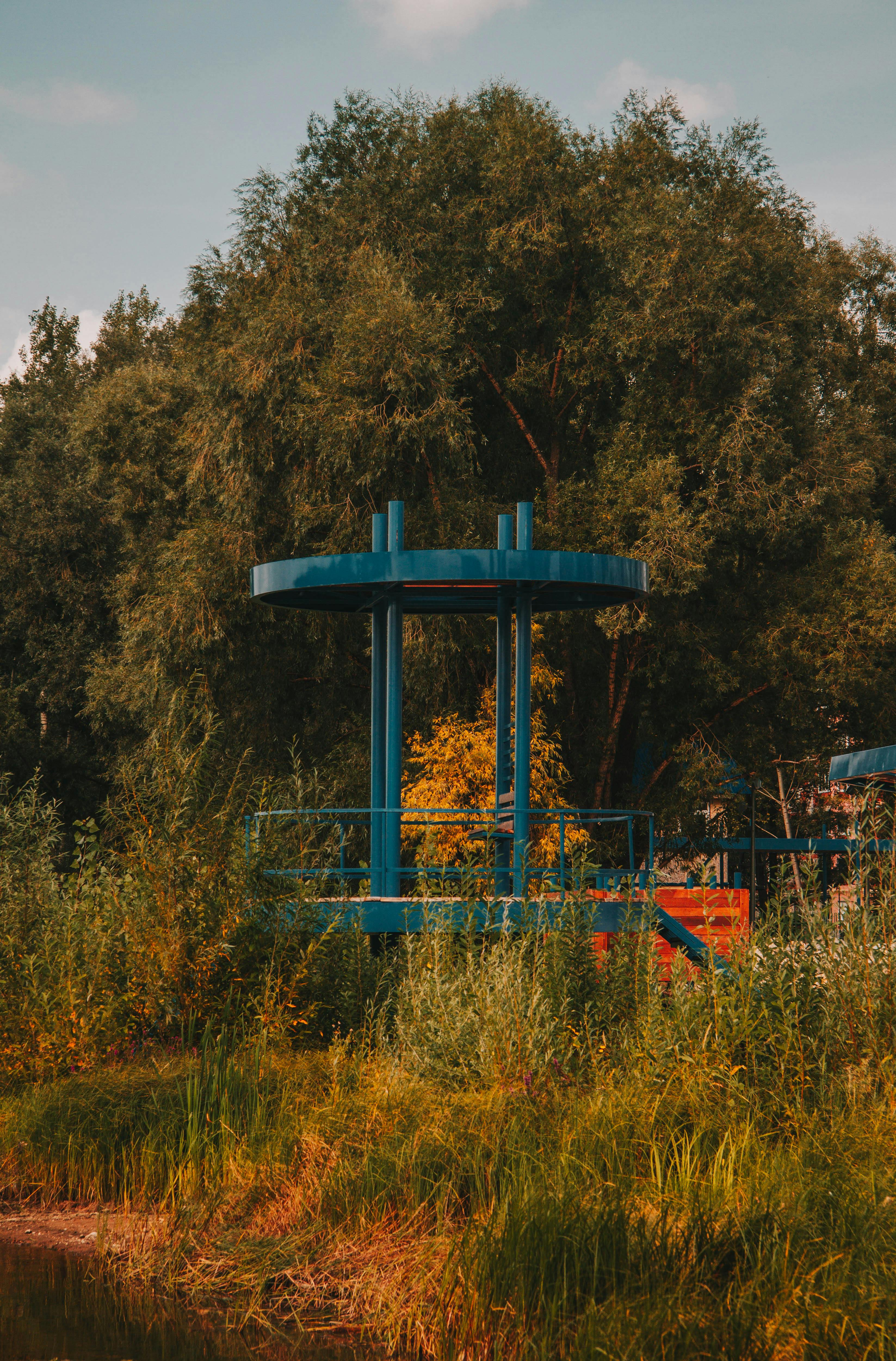 Beuty Photos, Download The BEST Free Beuty Stock Photos & HD Images