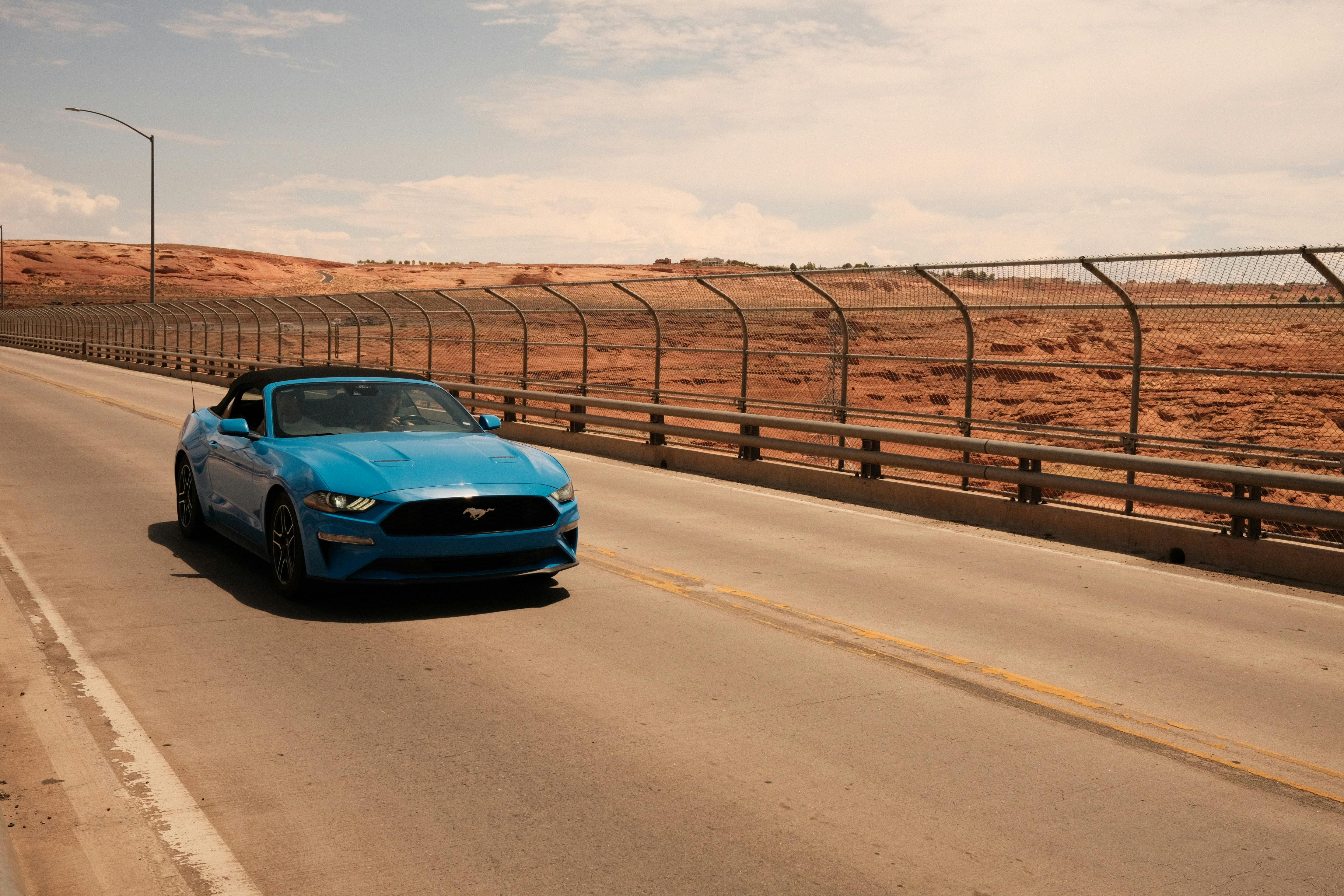A Ford Mustang GT Parked on the Side of a Street with Palm Trees · Free ...
