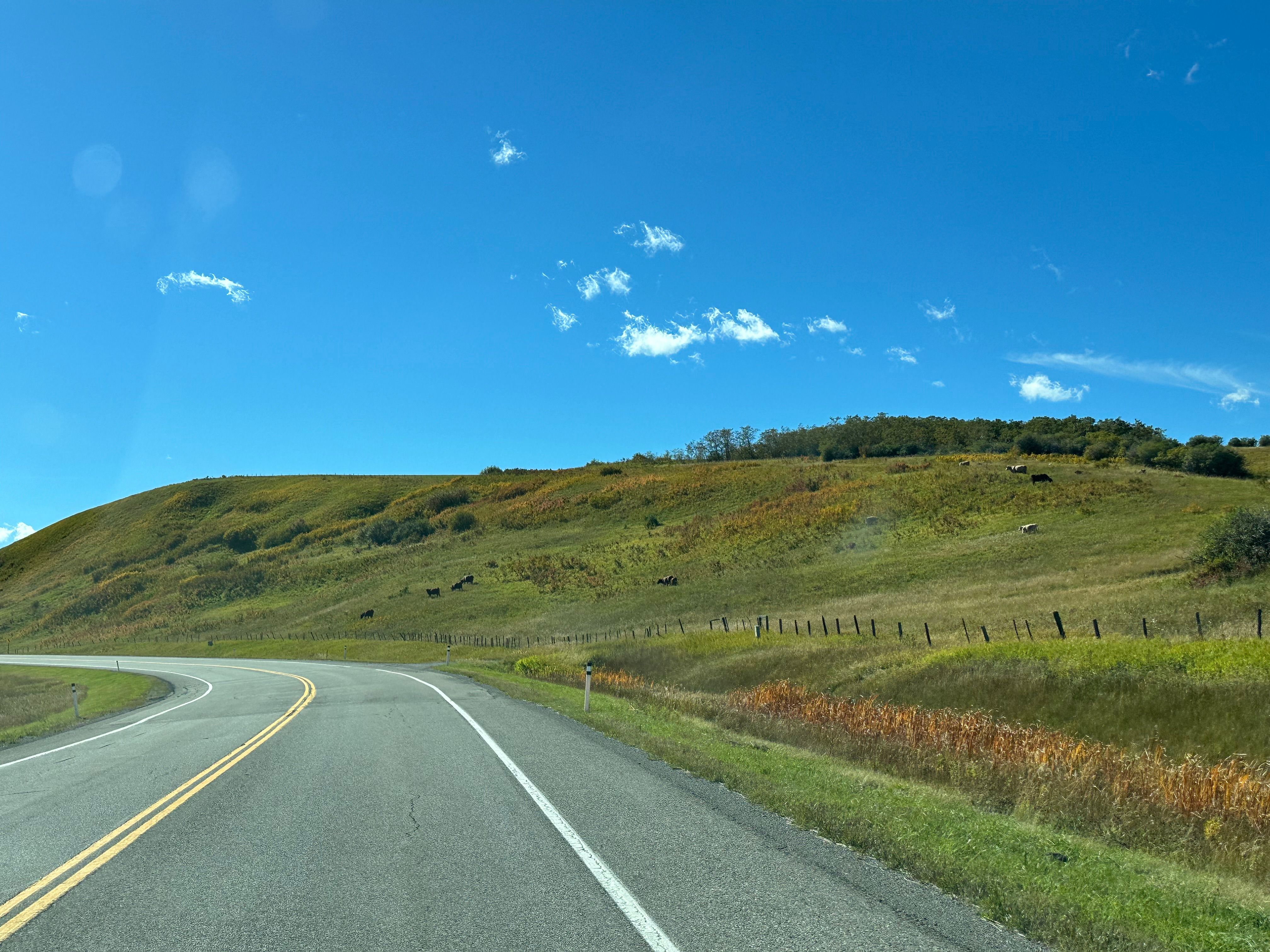 Scenic Country Road with Lush Green Hills Under Blue Sky · Free Stock Photo