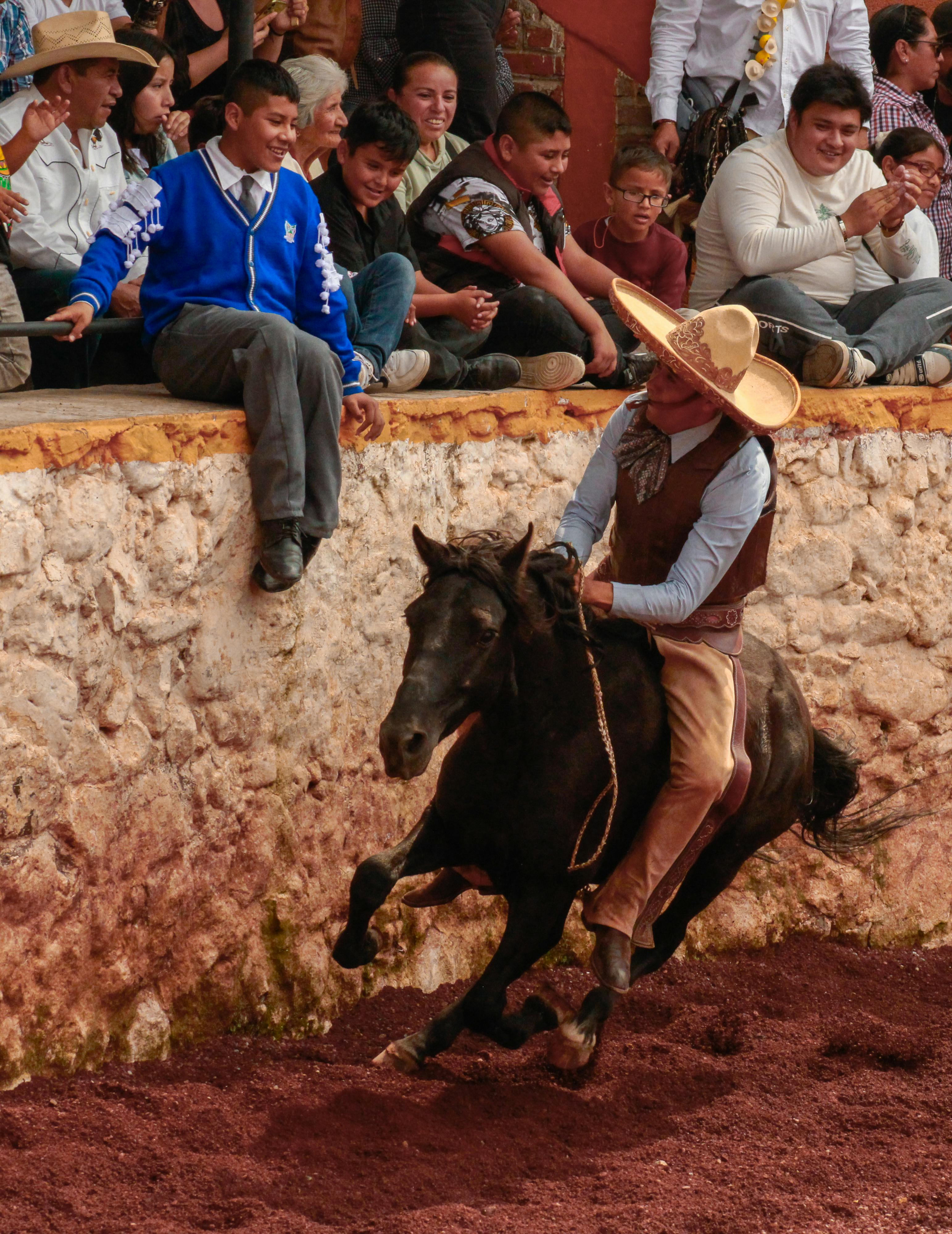 Mexican Charro Performing in a Rodeo Arena · Free Stock Photo
