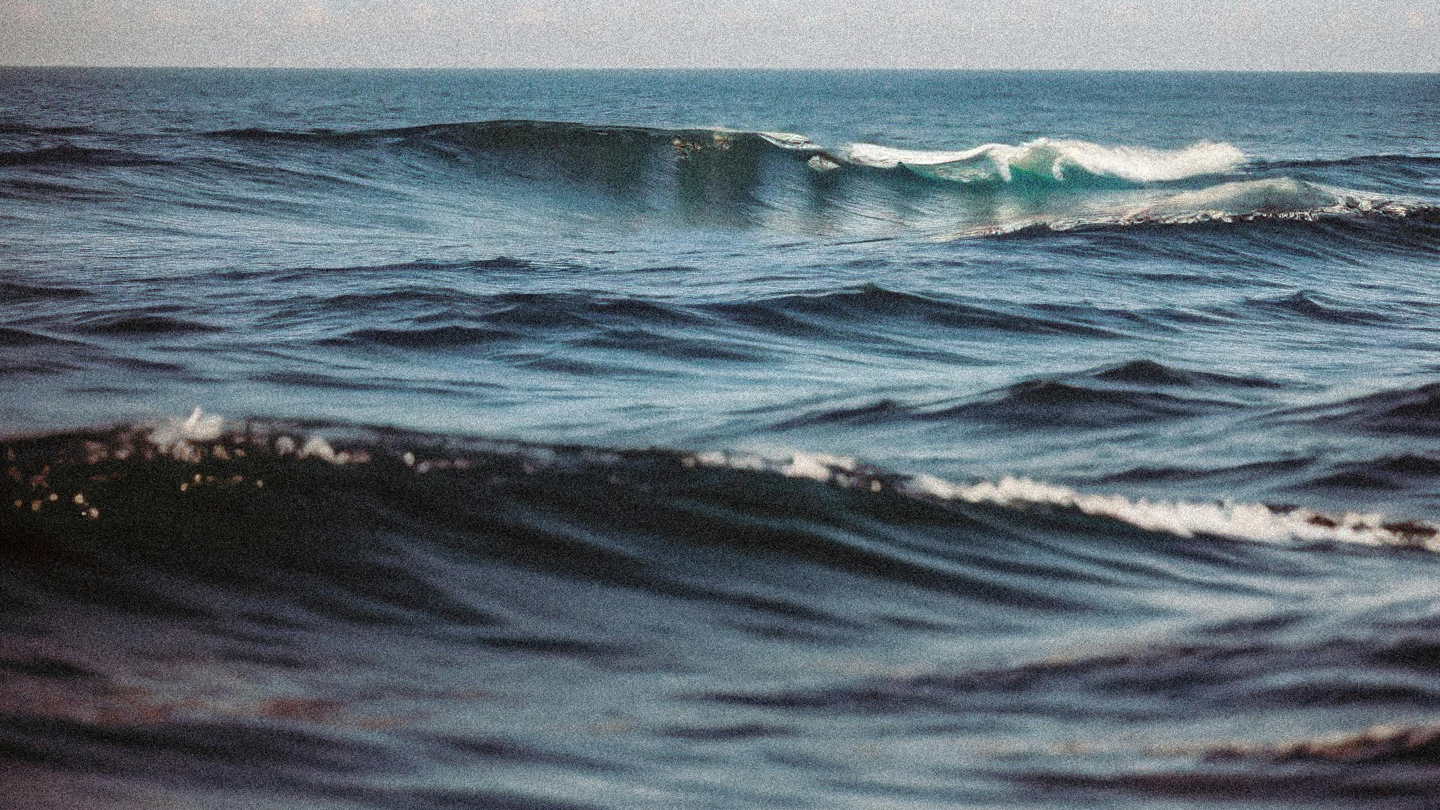 Lush Ocean Waves in Sunlit Sea · Free Stock Photo