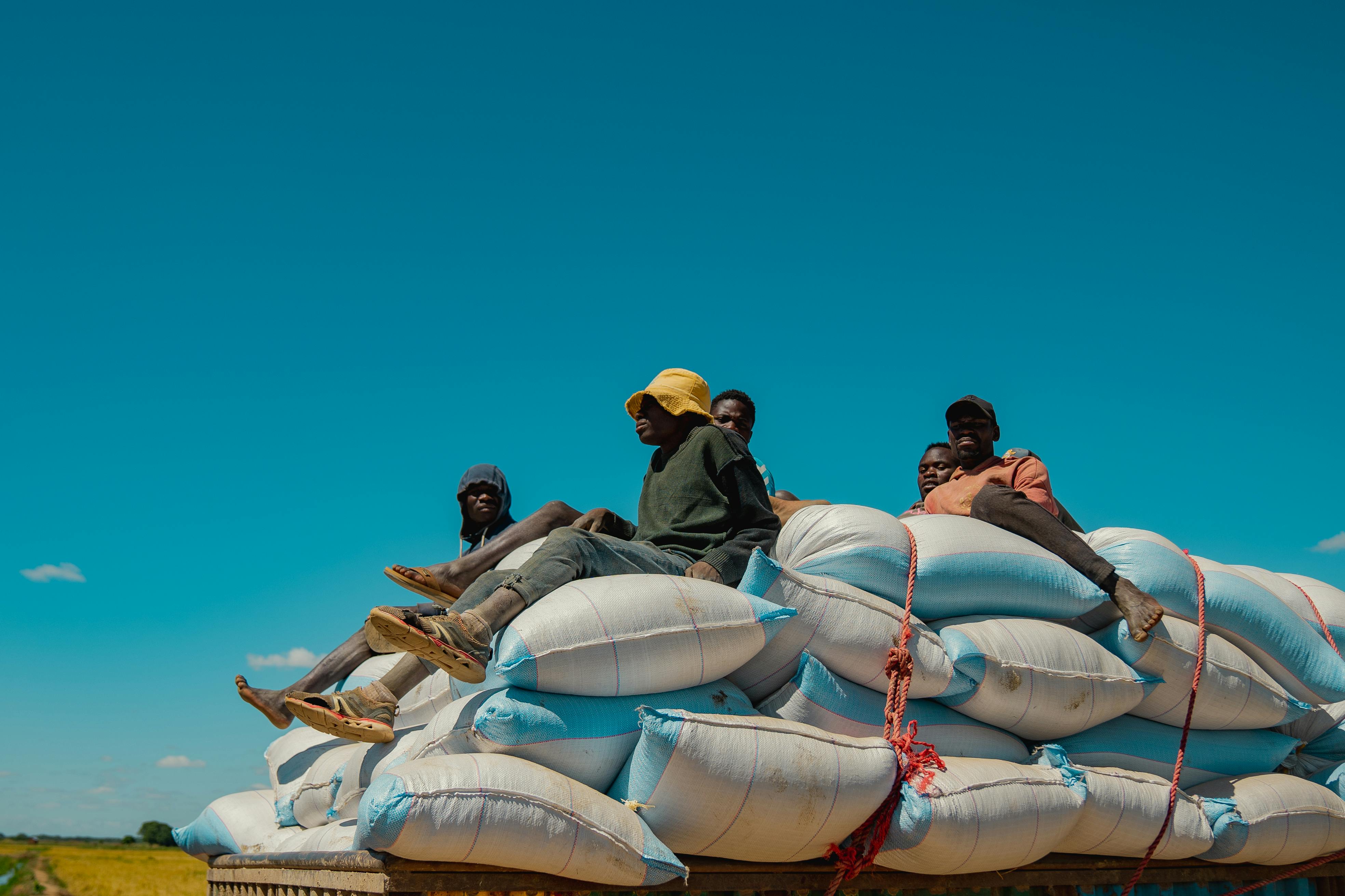 Labor Humor Photos, Download The BEST Free Labor Humor Stock Photos ...