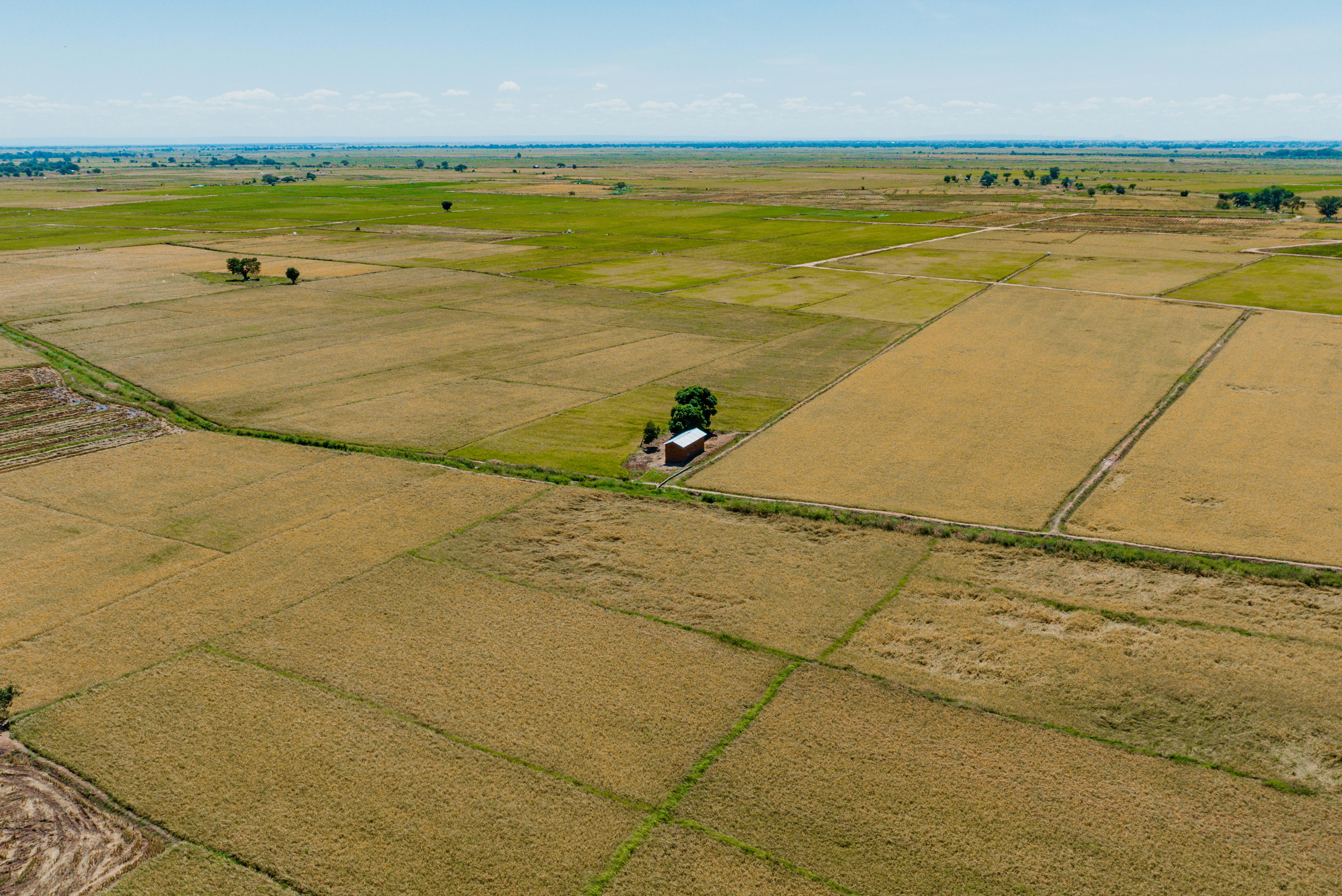 Aerial View of Expansive African Farmland · Free Stock Photo