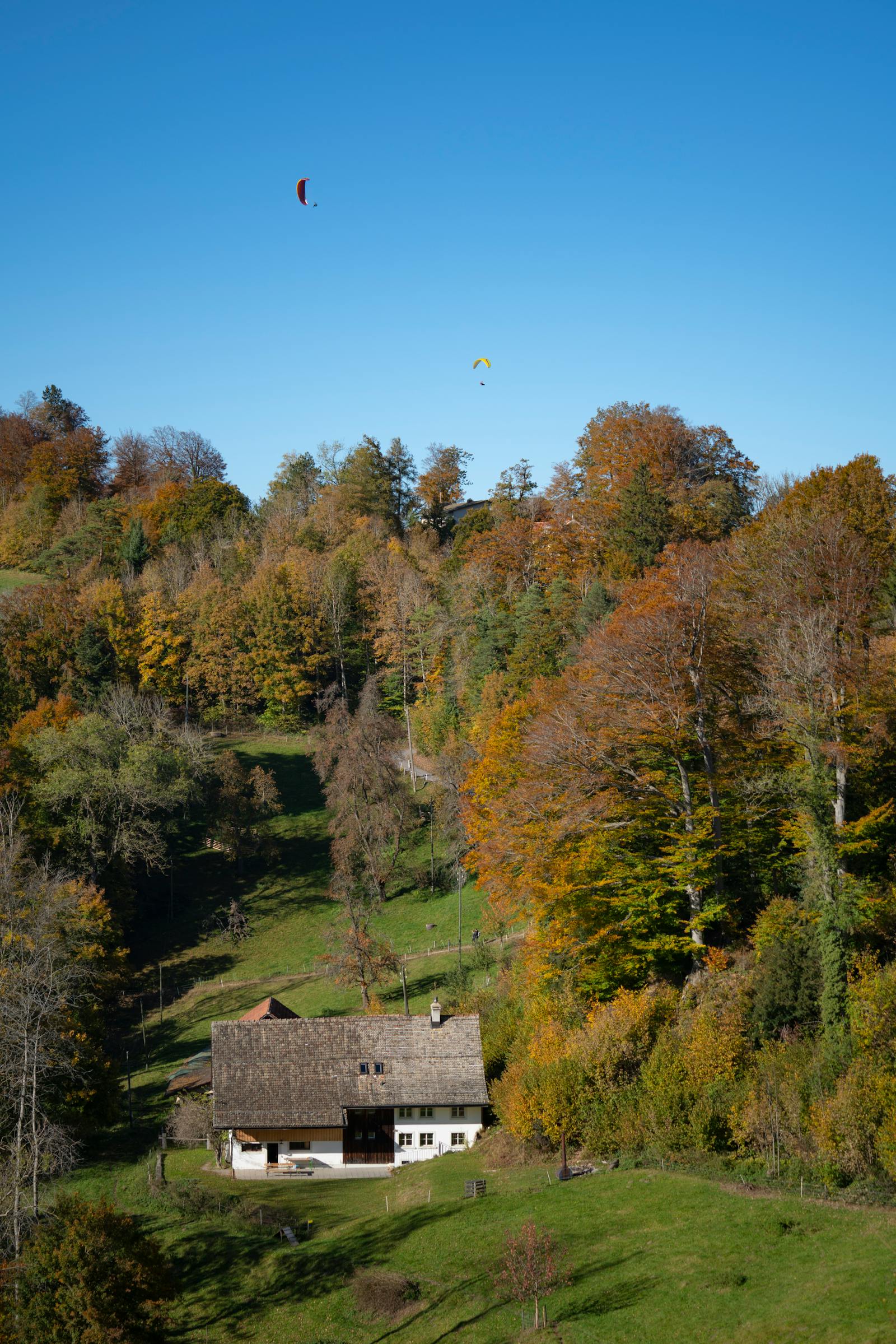 Nature House Photos, Download The BEST Free Nature House Stock Photos ...