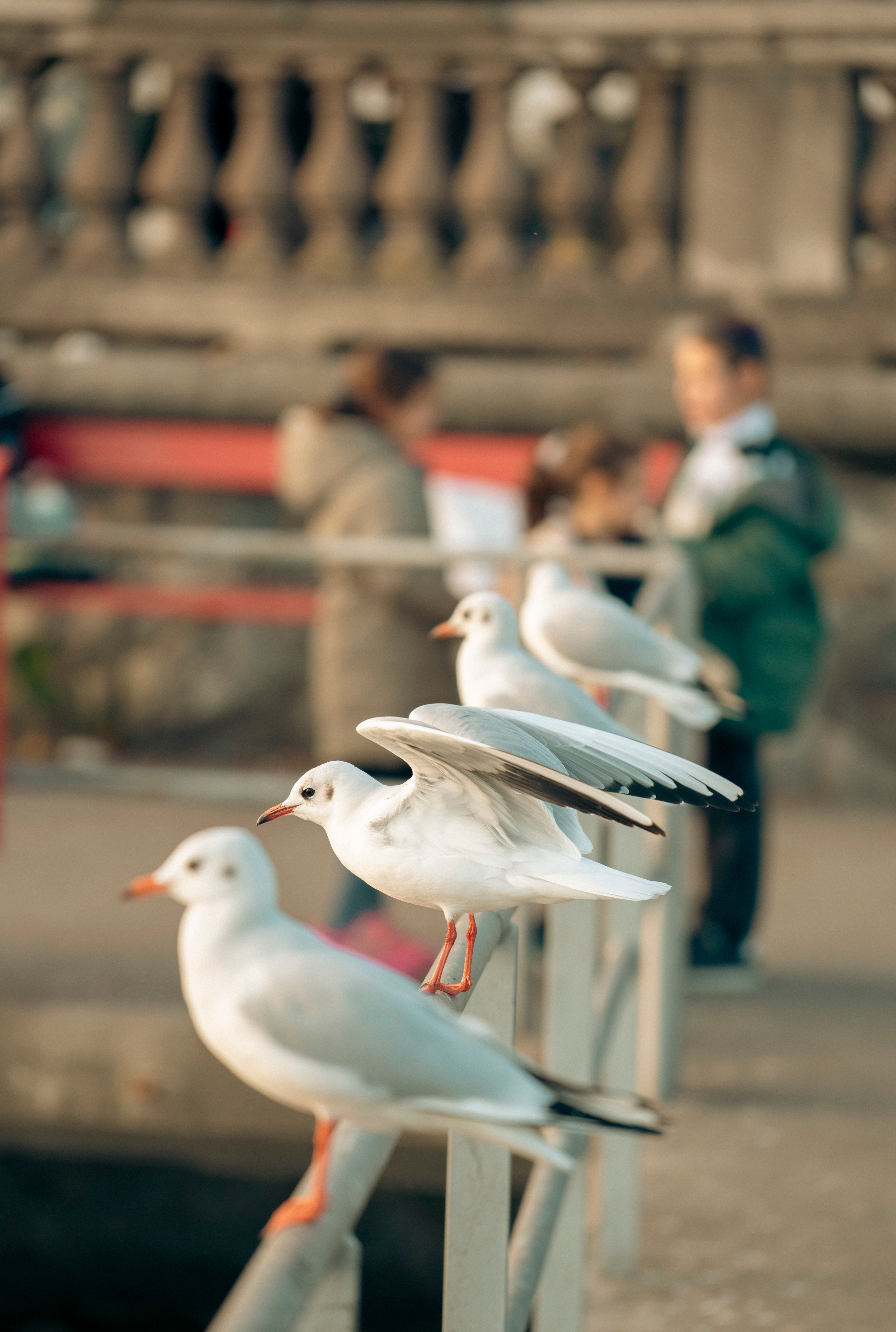Human Behaviour Photos, Download The BEST Free Human Behaviour Stock ...