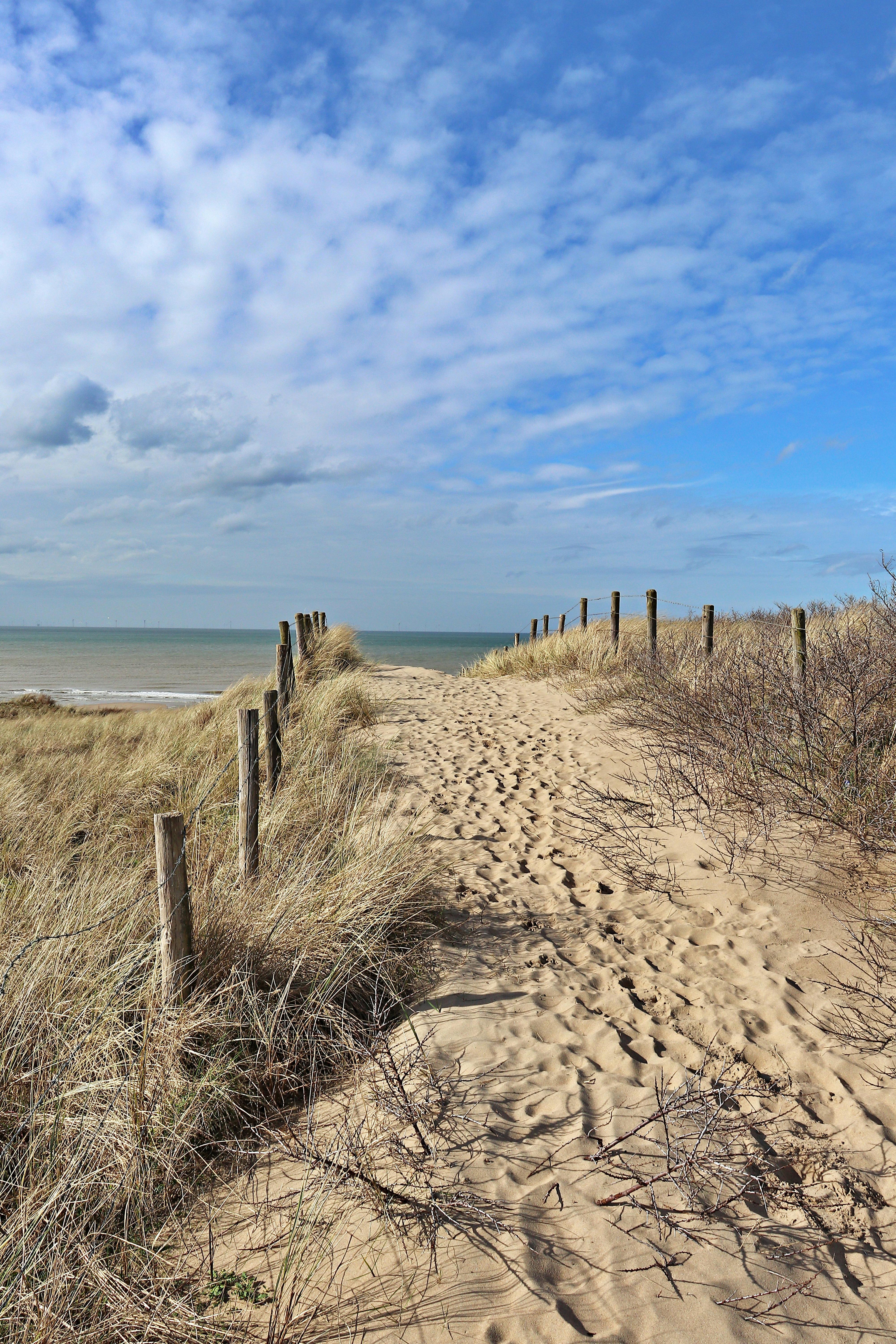 Sandy Pathway to the Coastal Beach · Free Stock Photo