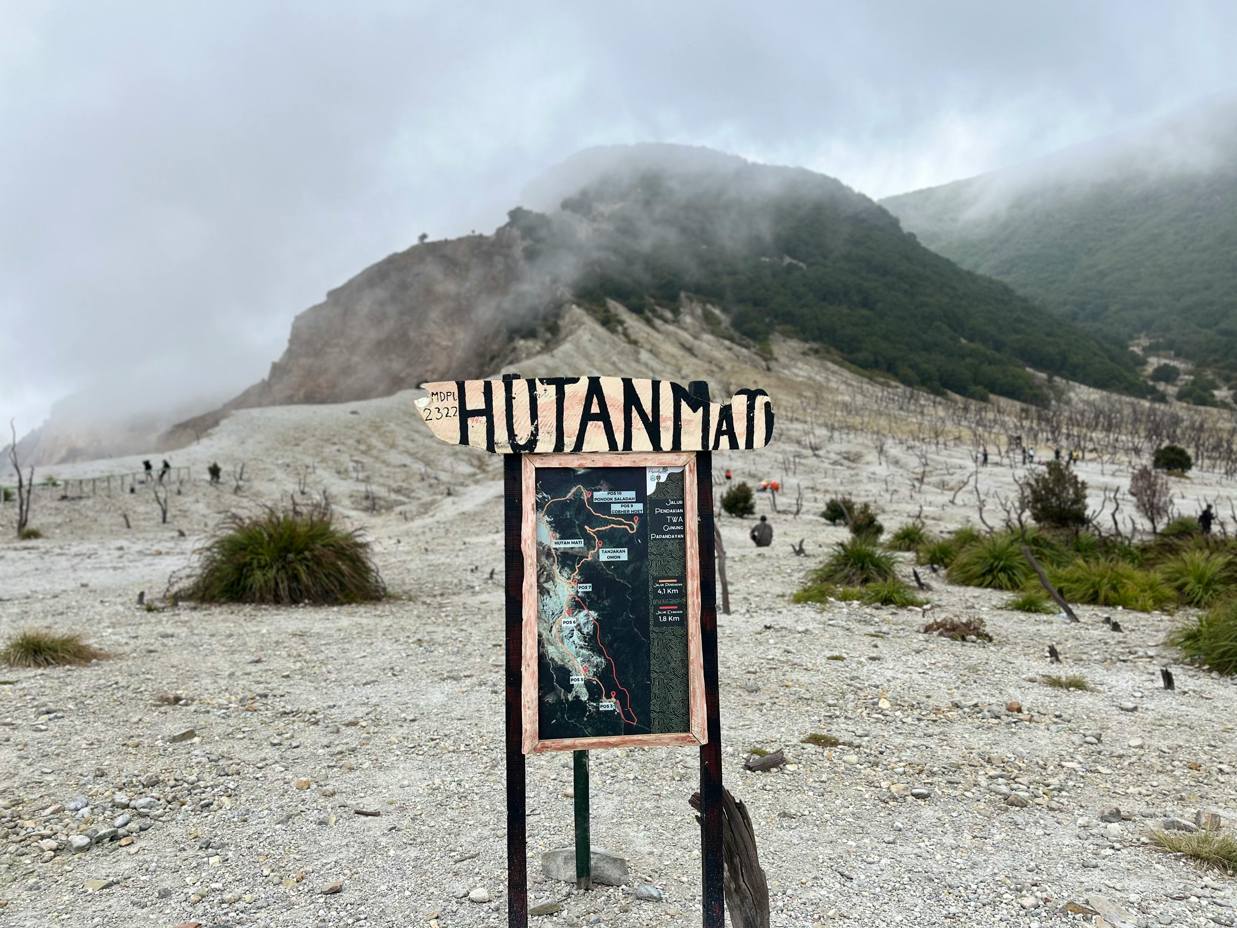 Hutan Photos, Download The BEST Free Hutan Stock Photos & HD Images