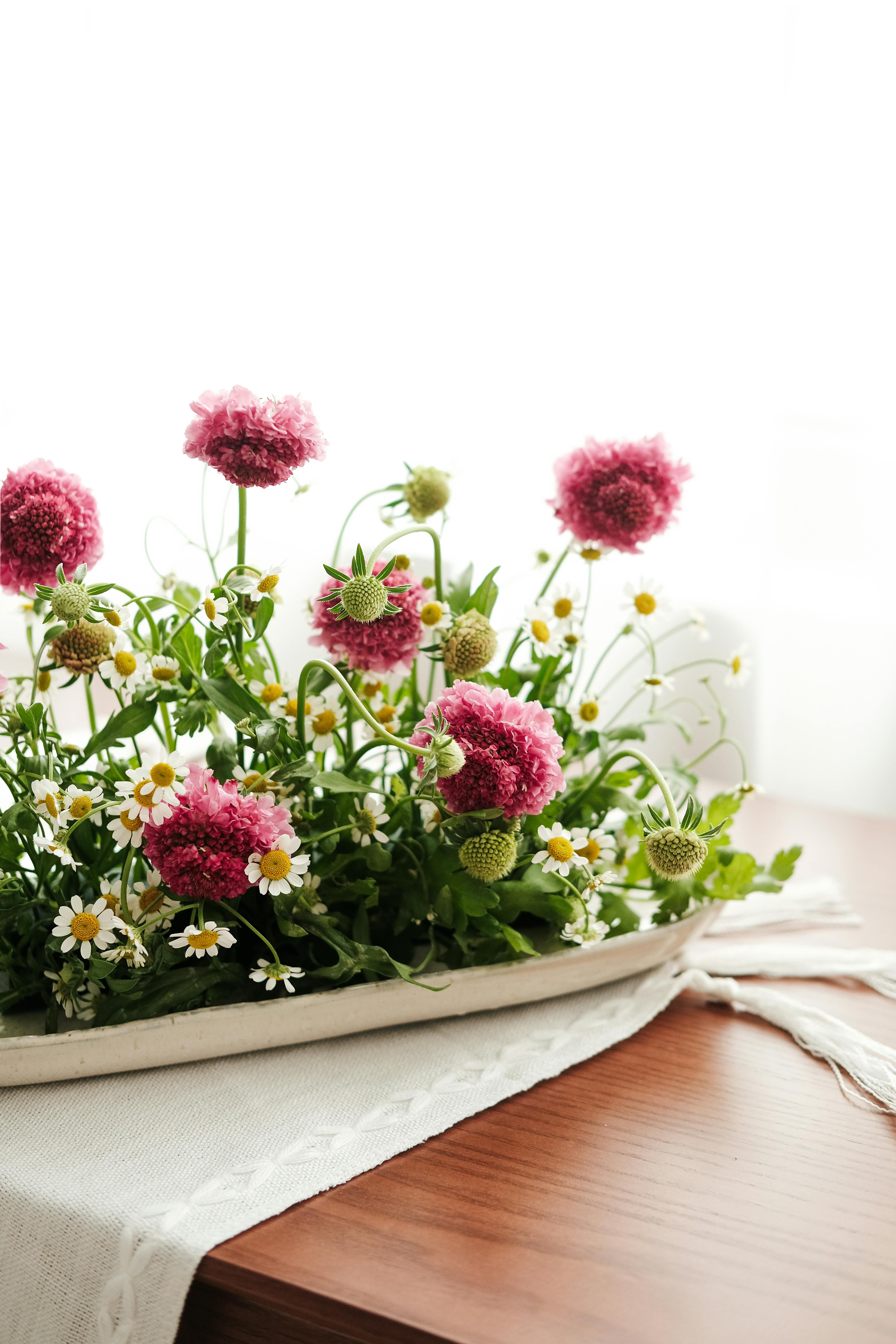 Pink Hypnosis Photos, Download The BEST Free Pink Hypnosis Stock Photos ...