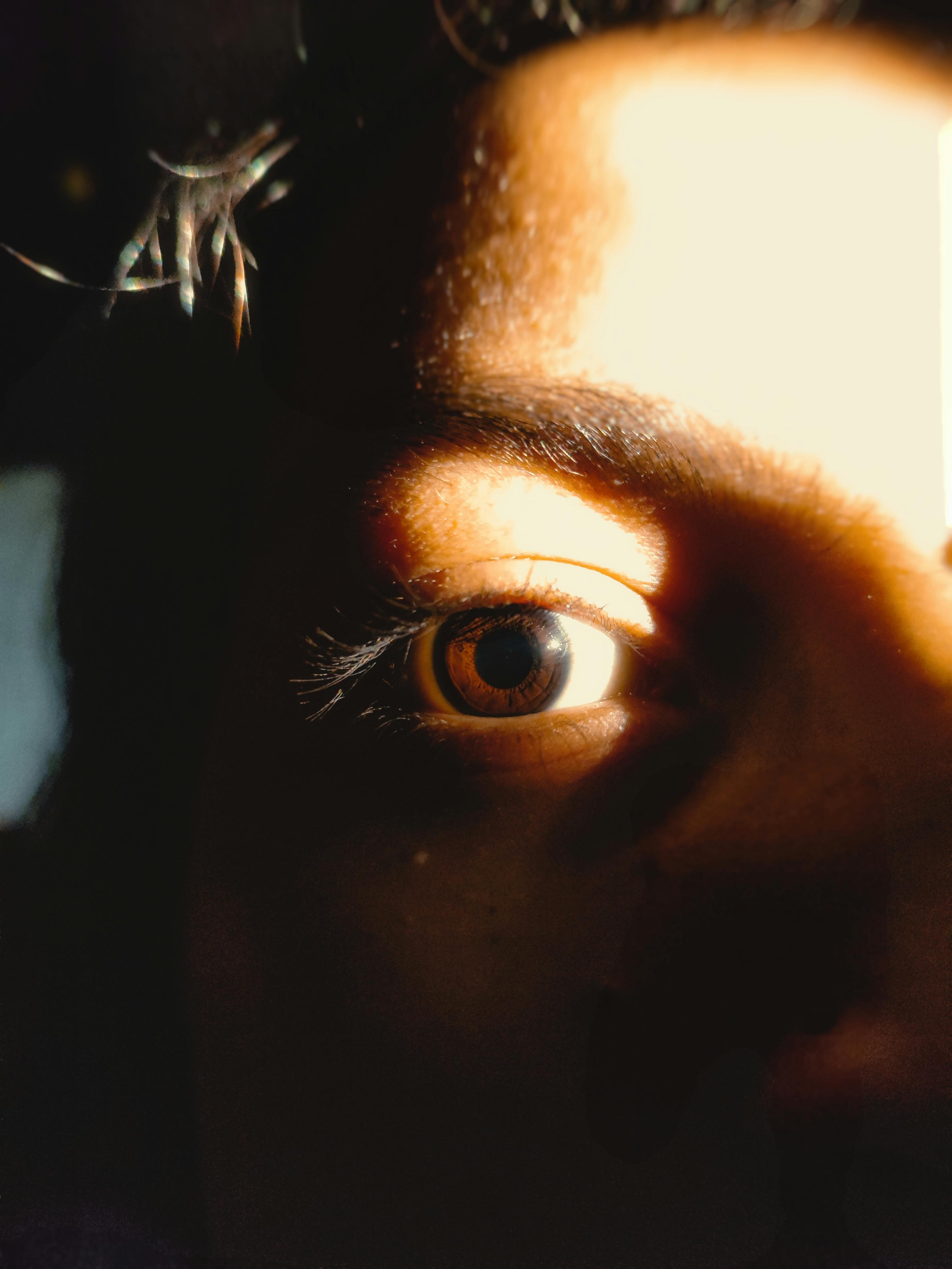 Brown Human Eye · Free Stock Photo