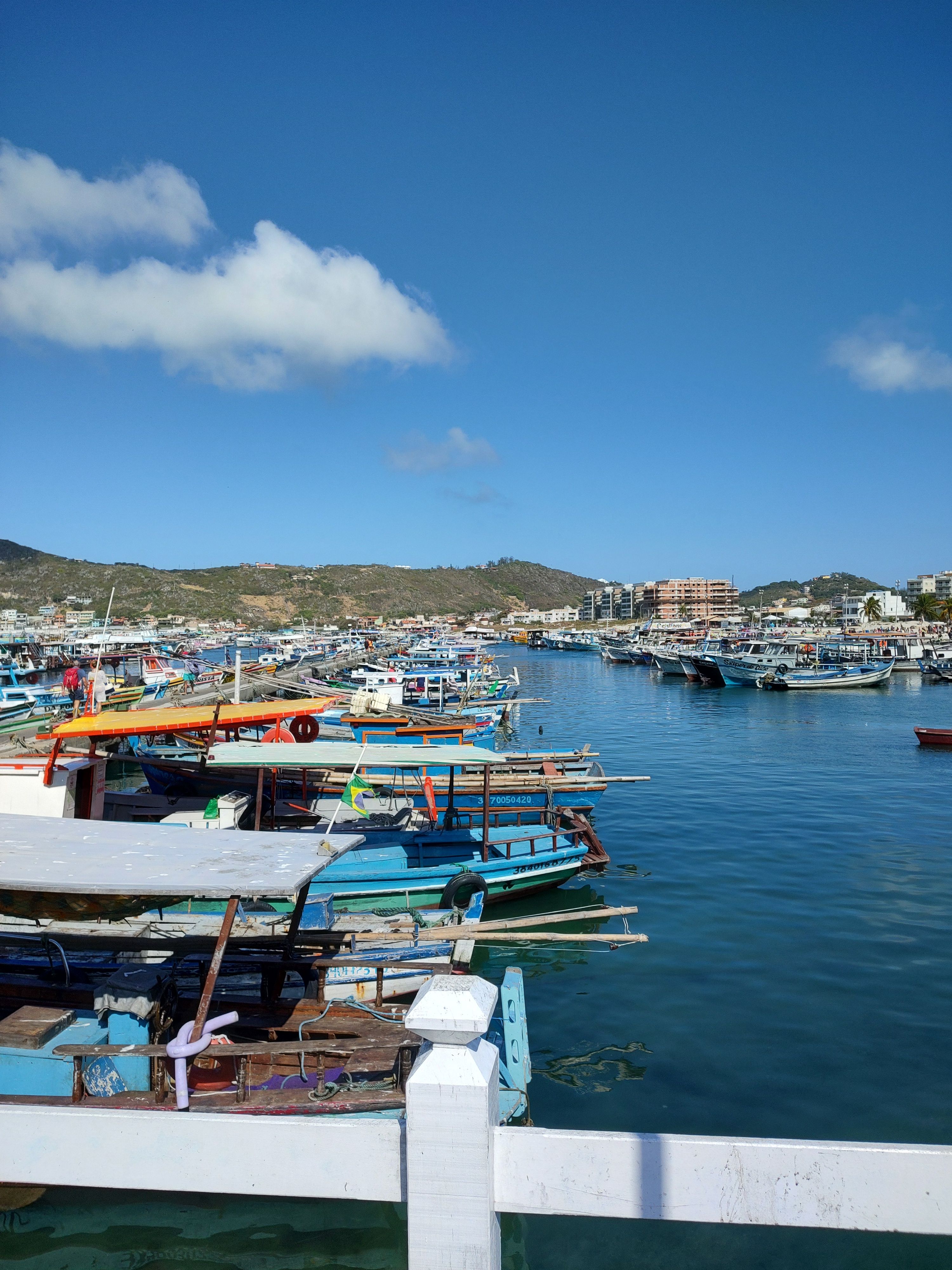 Scenic Harbor View with Colorful Fishing Boats · Free Stock Photo