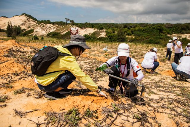China Tree Planting Initiative Builds a Massive Green Wall