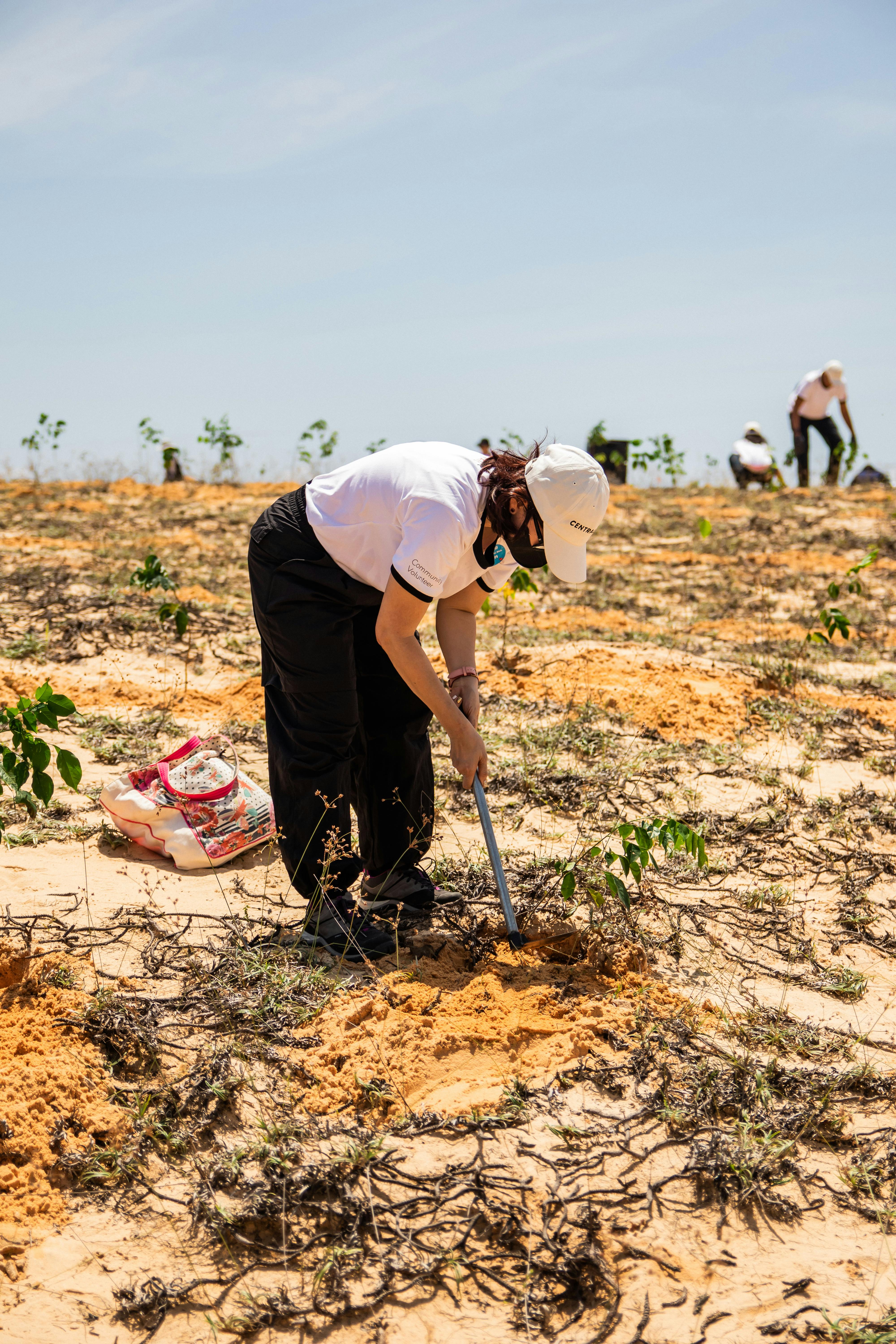 People Planting Plant Together · Free Stock Photo