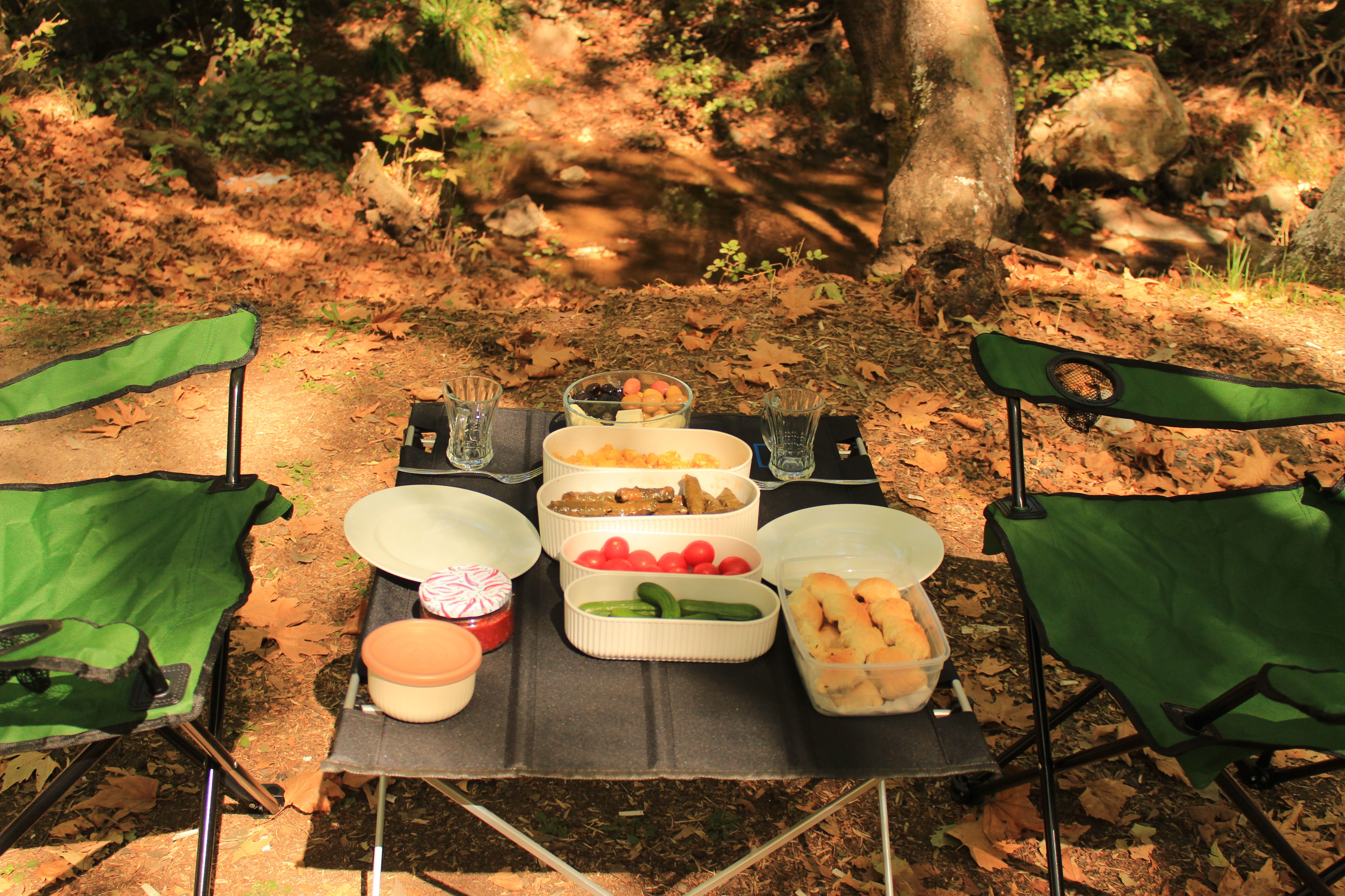 Outdoor Picnic Setup with Green Chairs and Snacks · Free Stock Photo