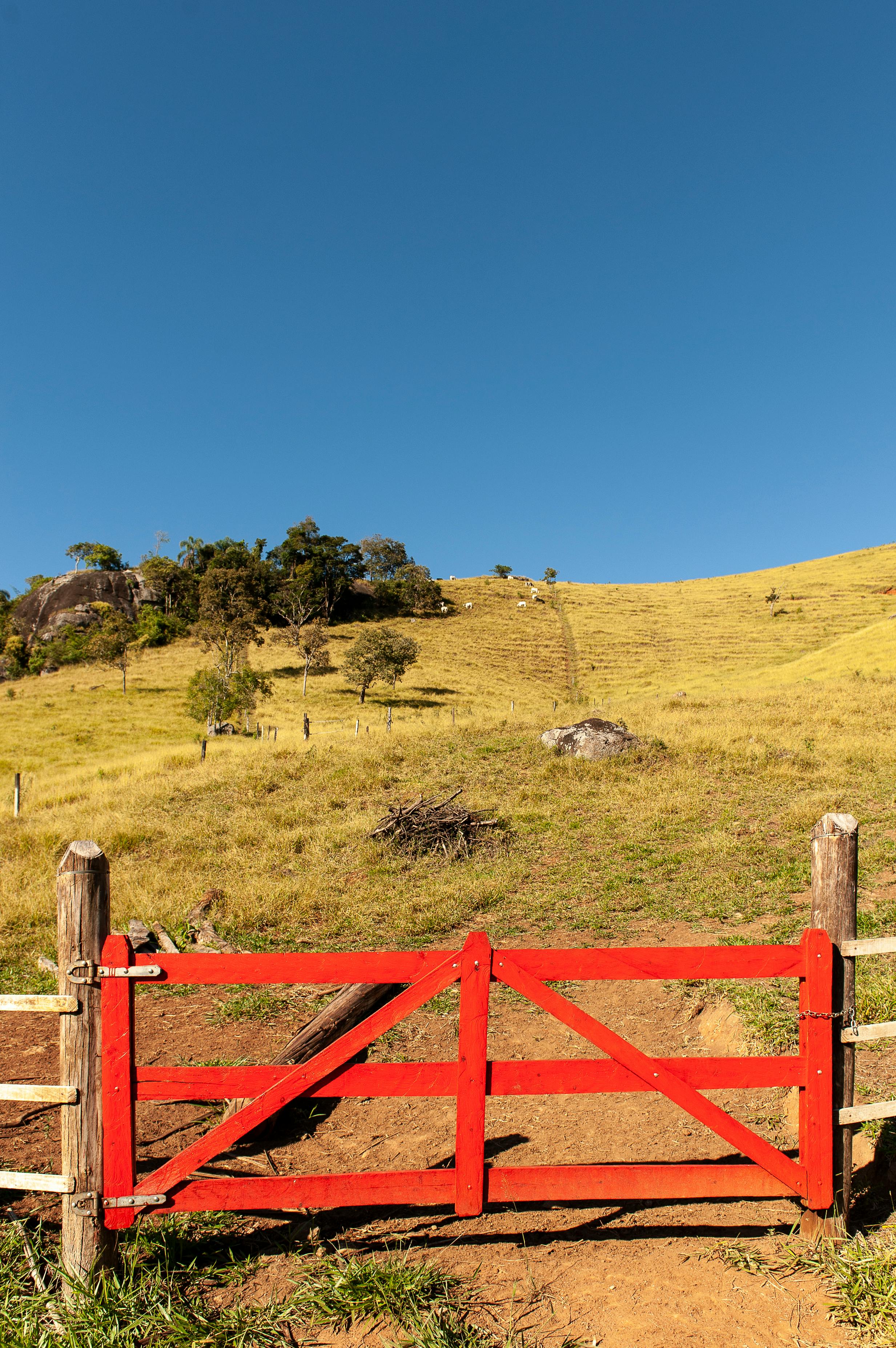 Scenic Countryside with Red Gate and Fields · Free Stock Photo