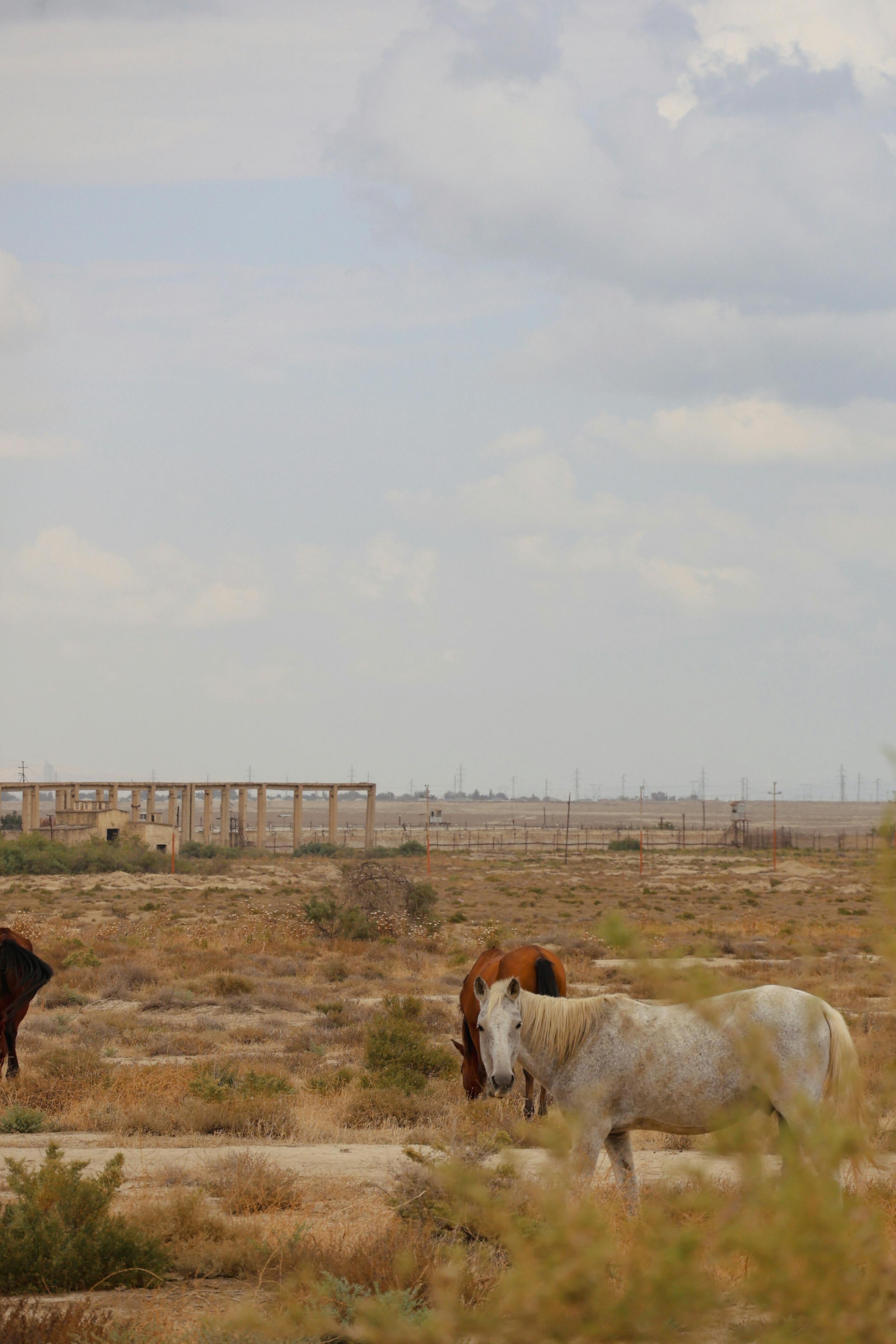 Southern Colors Photos, Download The BEST Free Southern Colors Stock ...