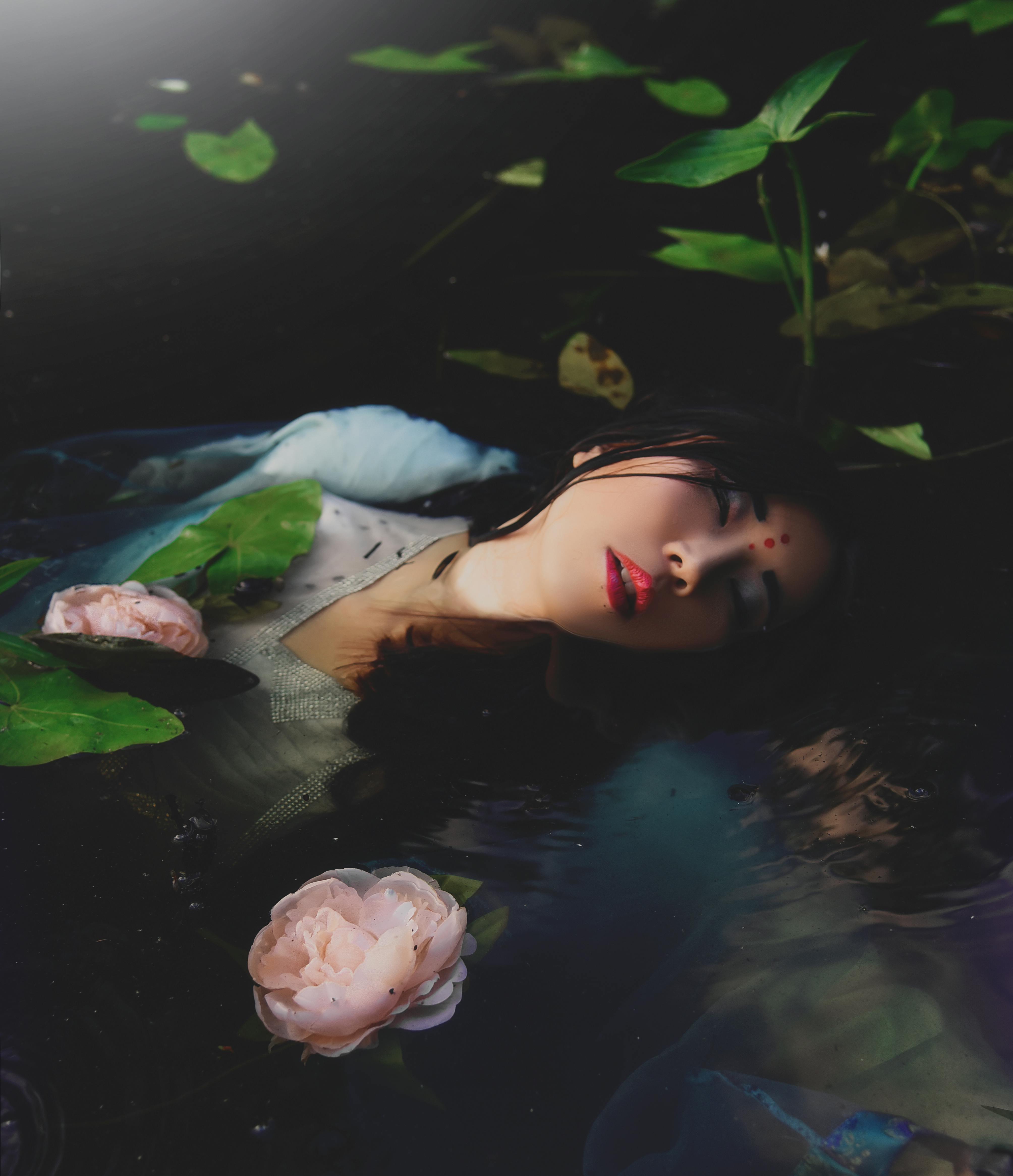 90,000+ Best Lotus Flower Photos · 100% Free Download · Pexels Stock Photos