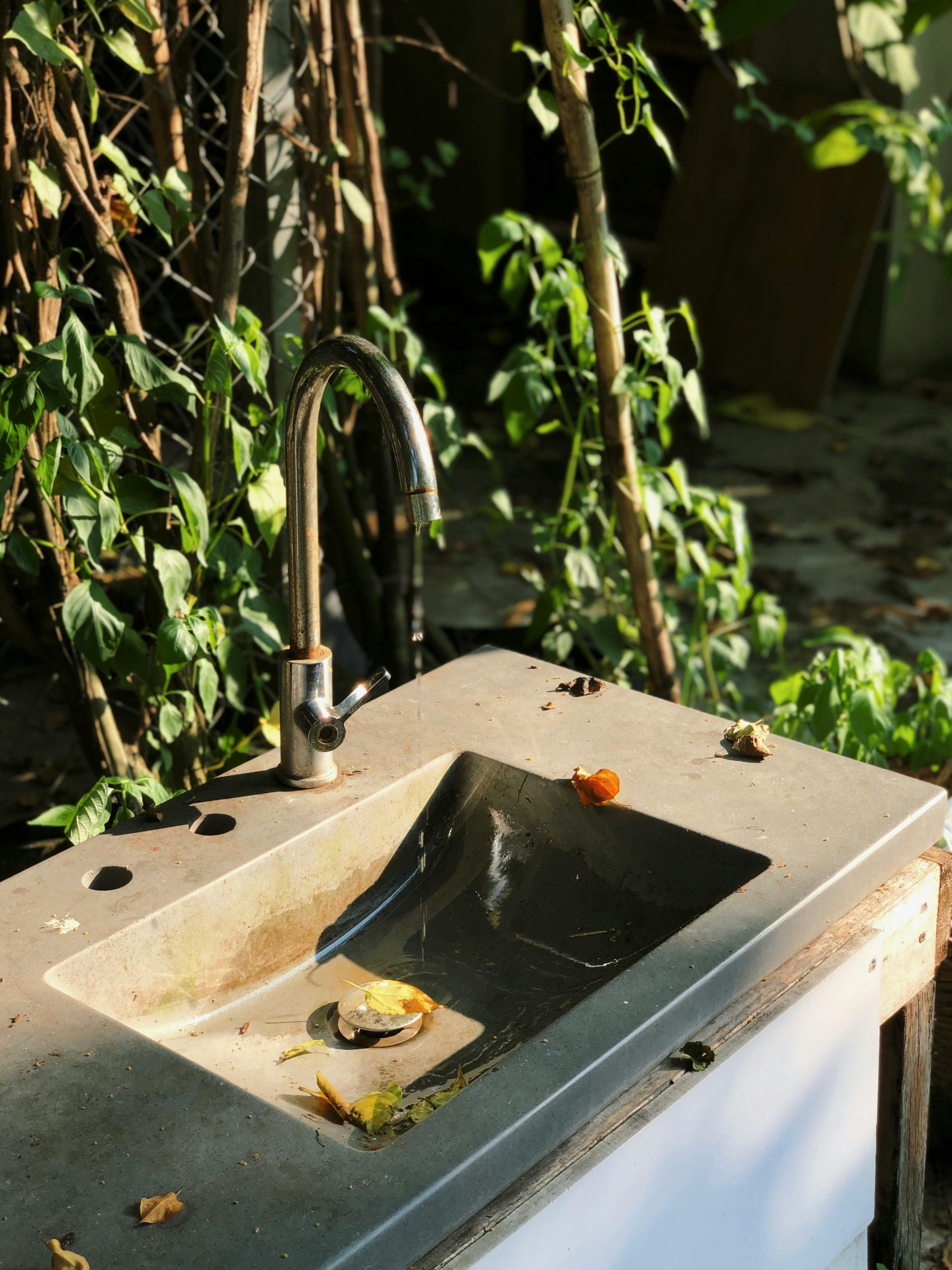 Rustic Outdoor Sink in Overgrown Garden · Free Stock Photo