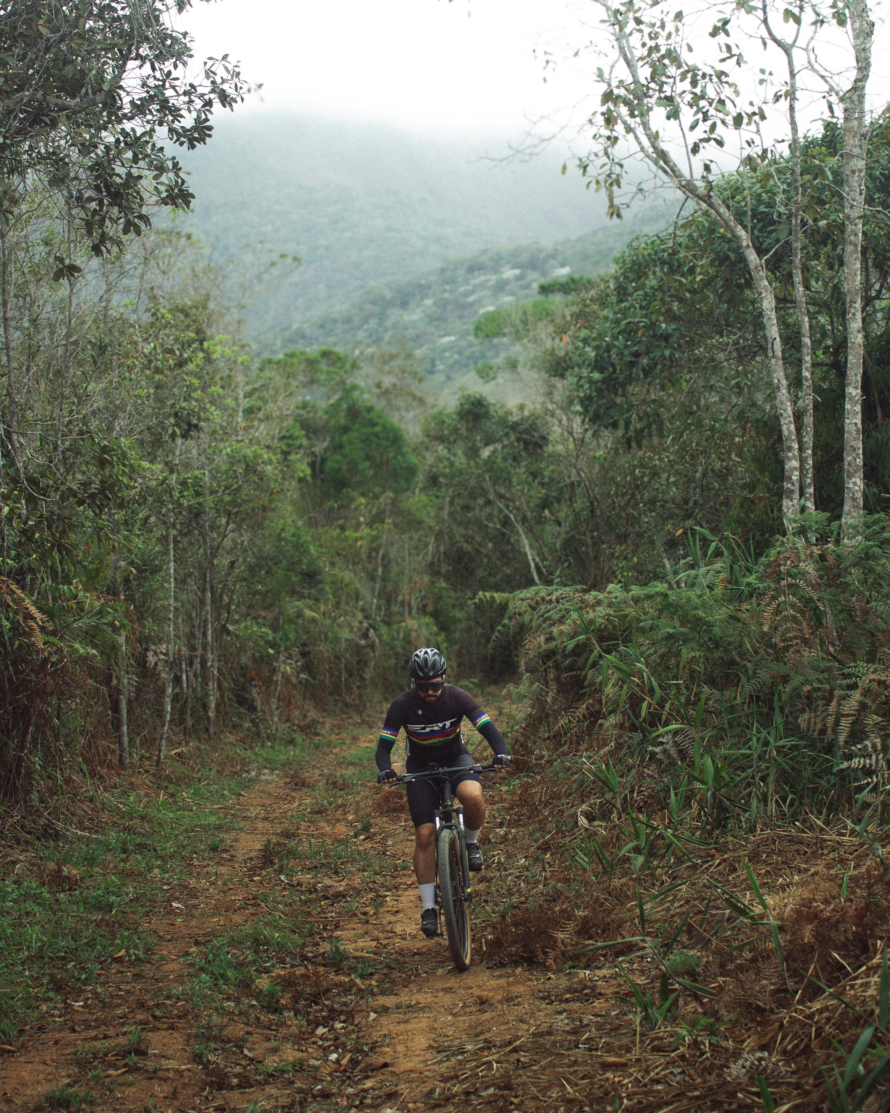 Cyclist Exploring a Foggy Forest Trail · Free Stock Photo