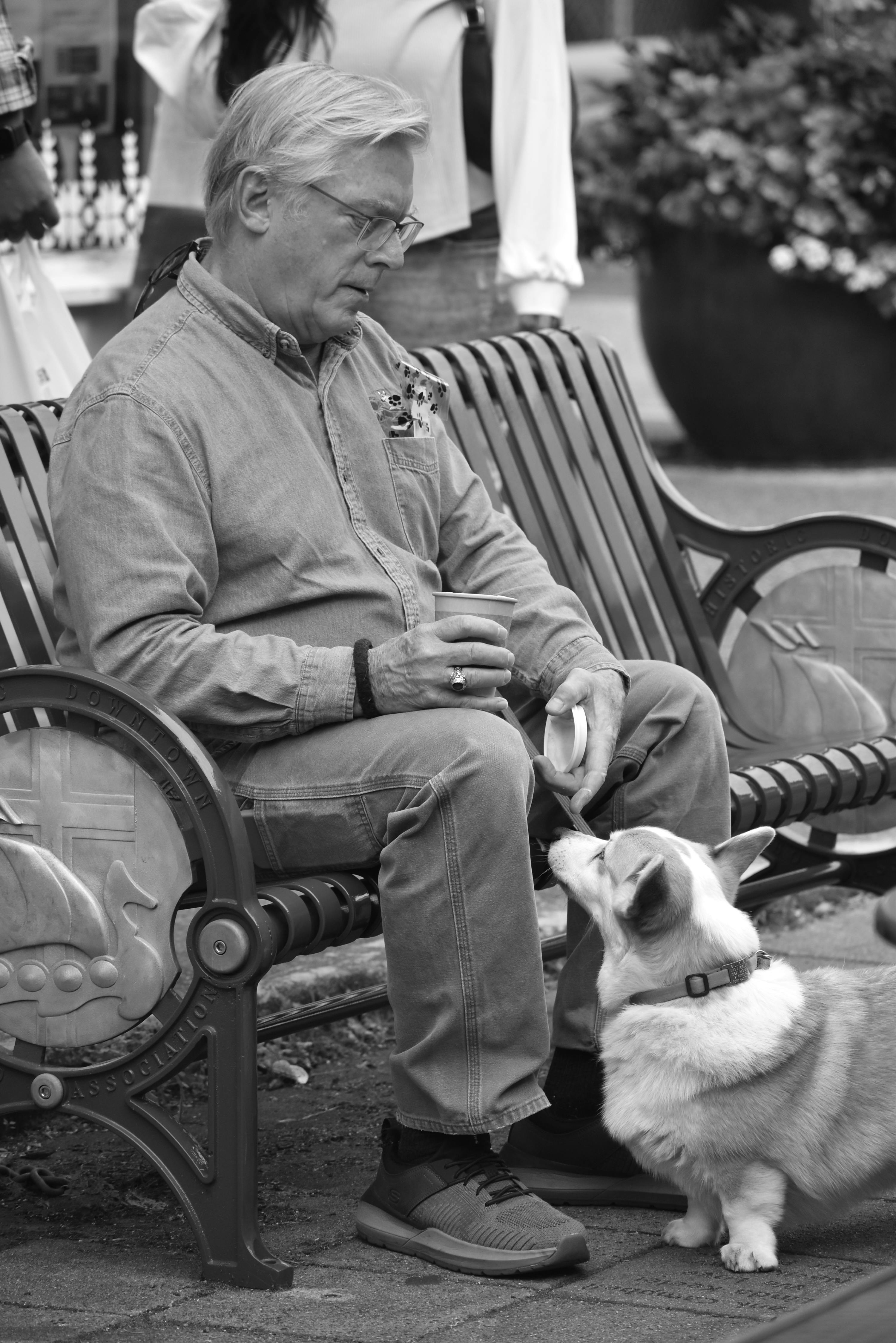 Senior Man Sitting on Bench Feeding Dog · Free Stock Photo