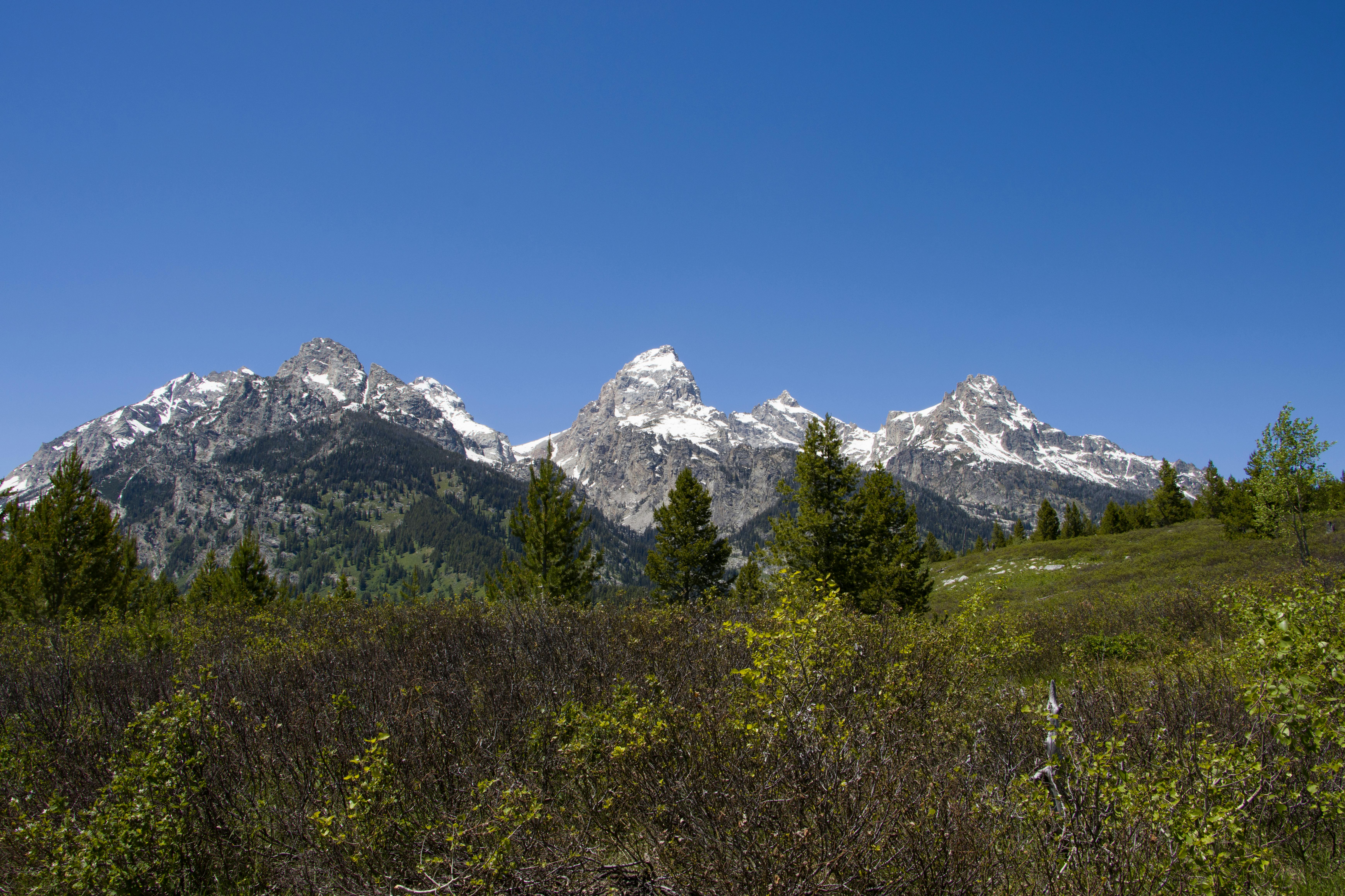 Green Fields Near Brown Mountain · Free Stock Photo
