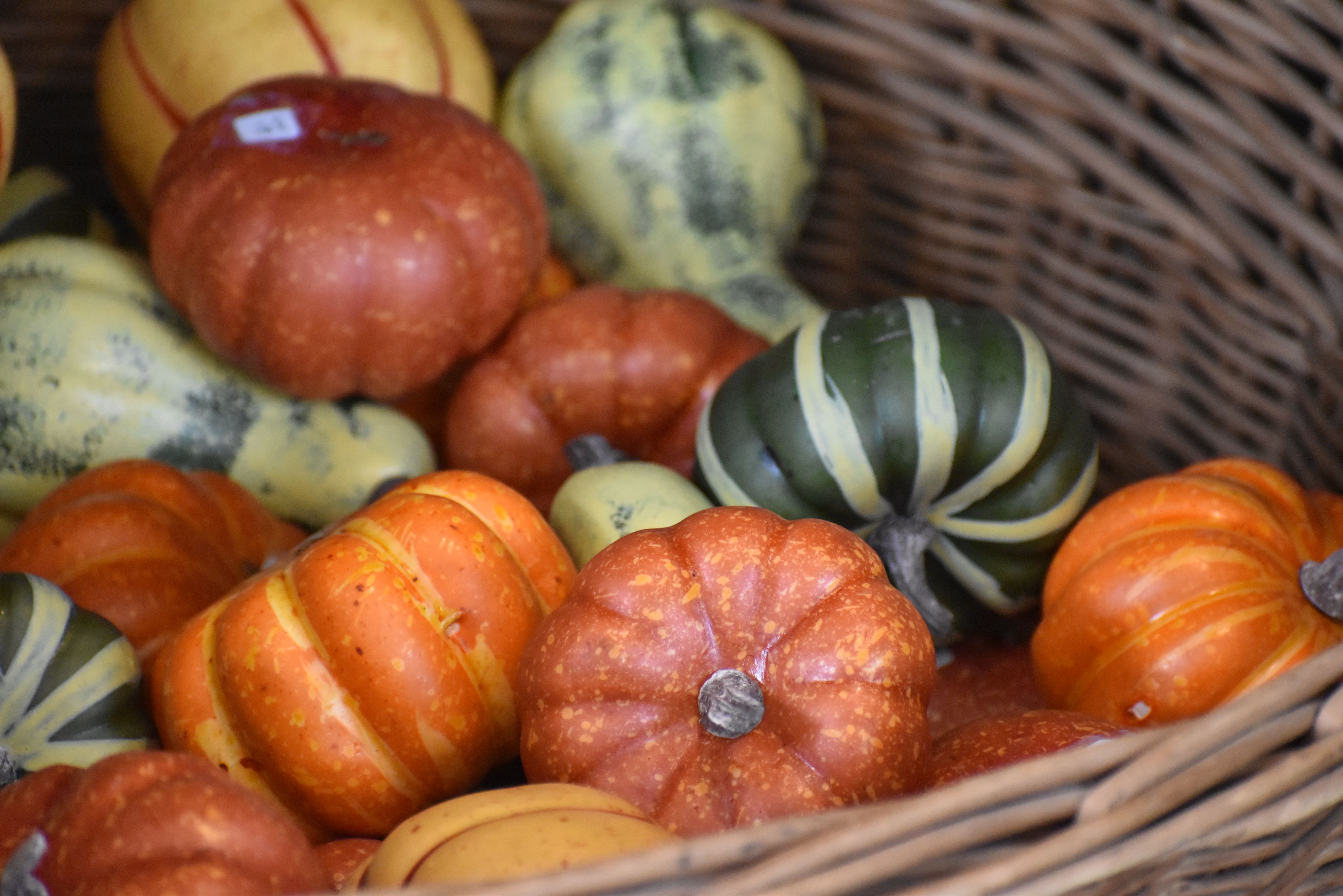 Colorful Mini Pumpkins in a Rustic Basket · Free Stock Photo