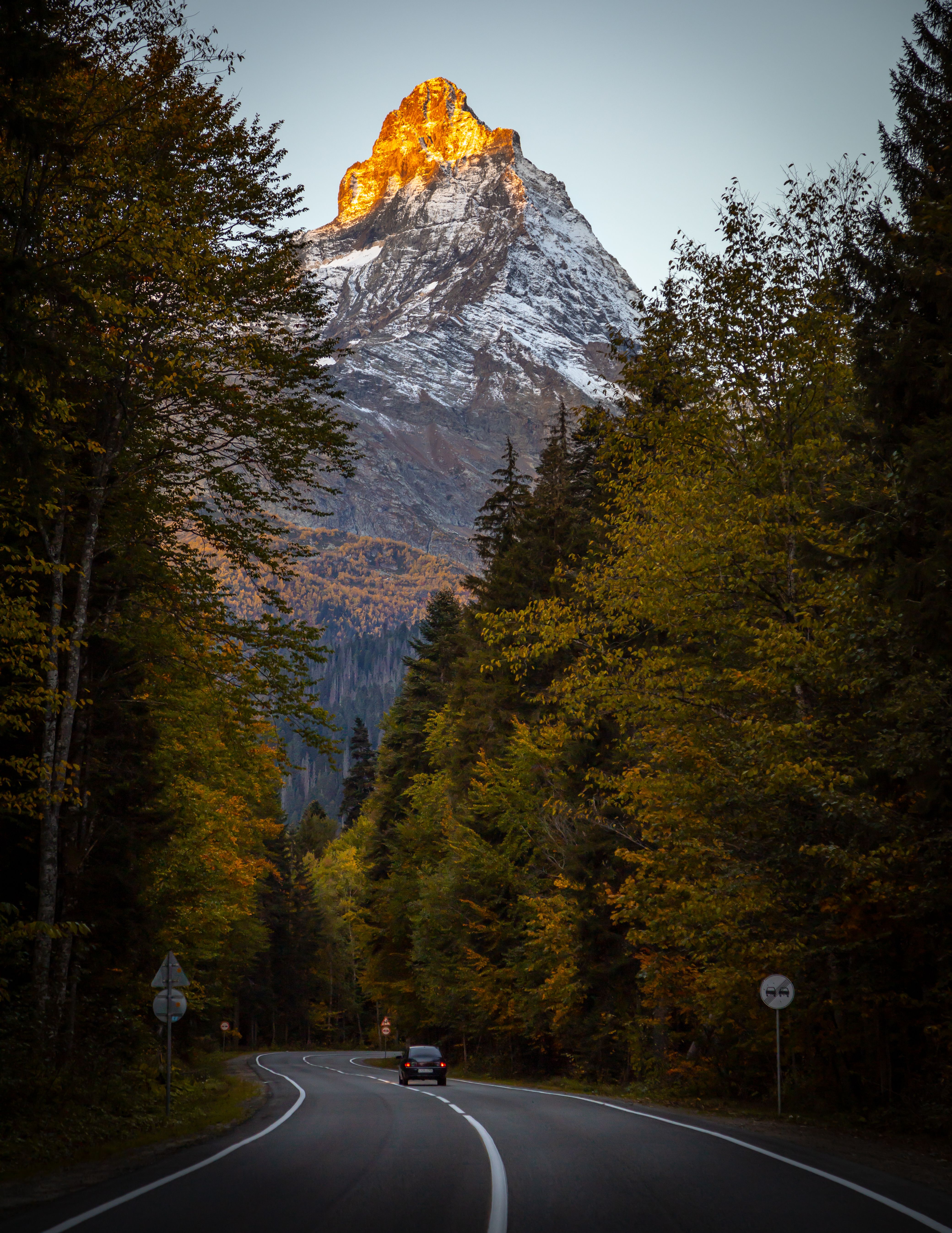 Scenic Mountain View with Forest Road at Sunset · Free Stock Photo
