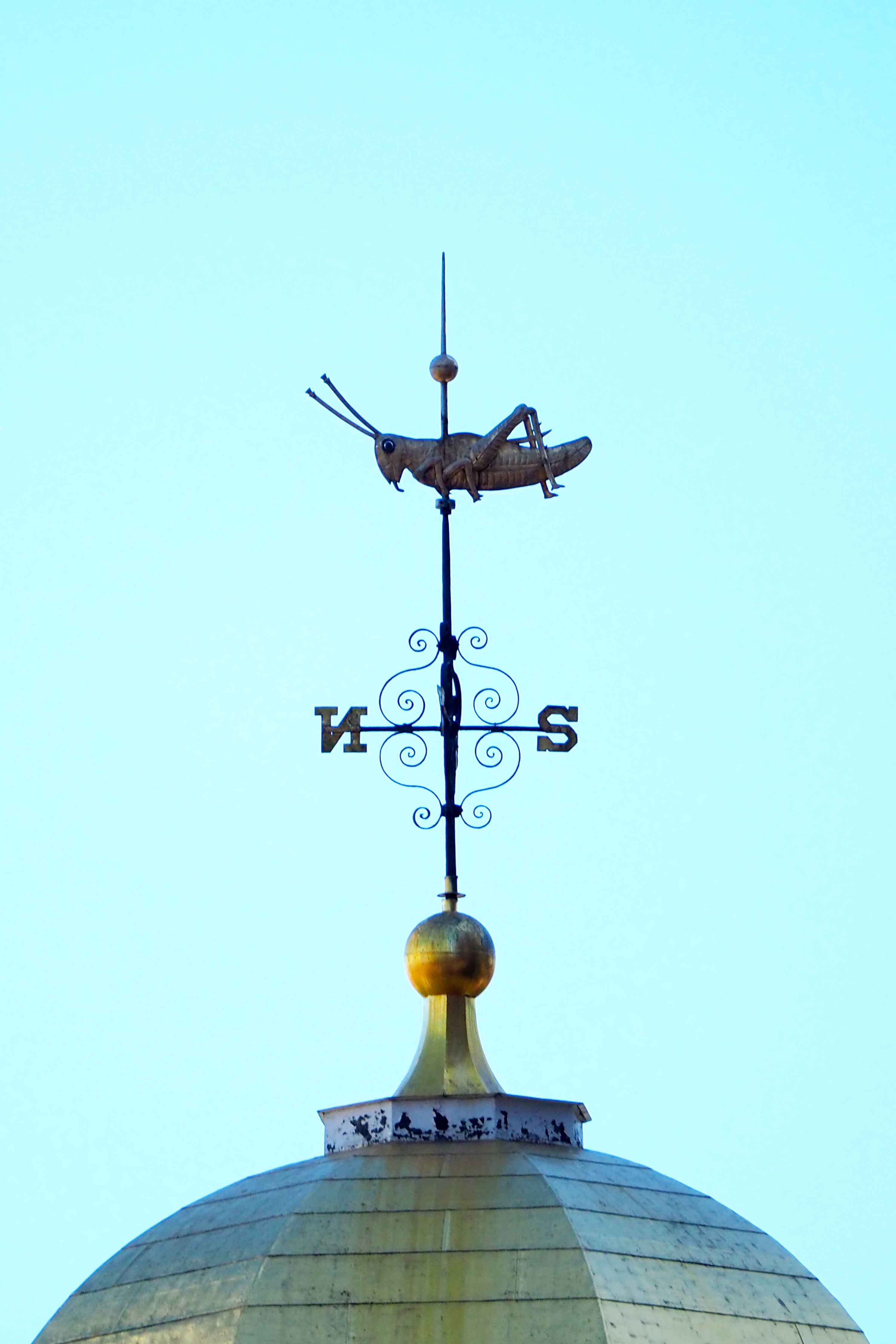 Iconic Grasshopper Weathervane at Faneuil Hall · Free Stock Photo
