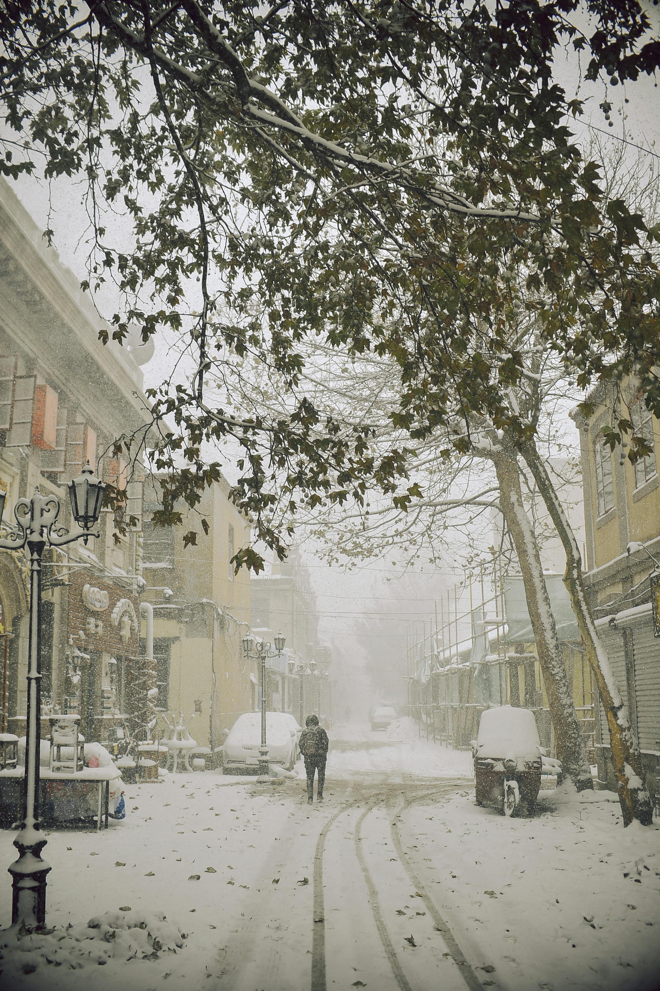 Serene Winter Street Scene During Snowfall · Free Stock Photo