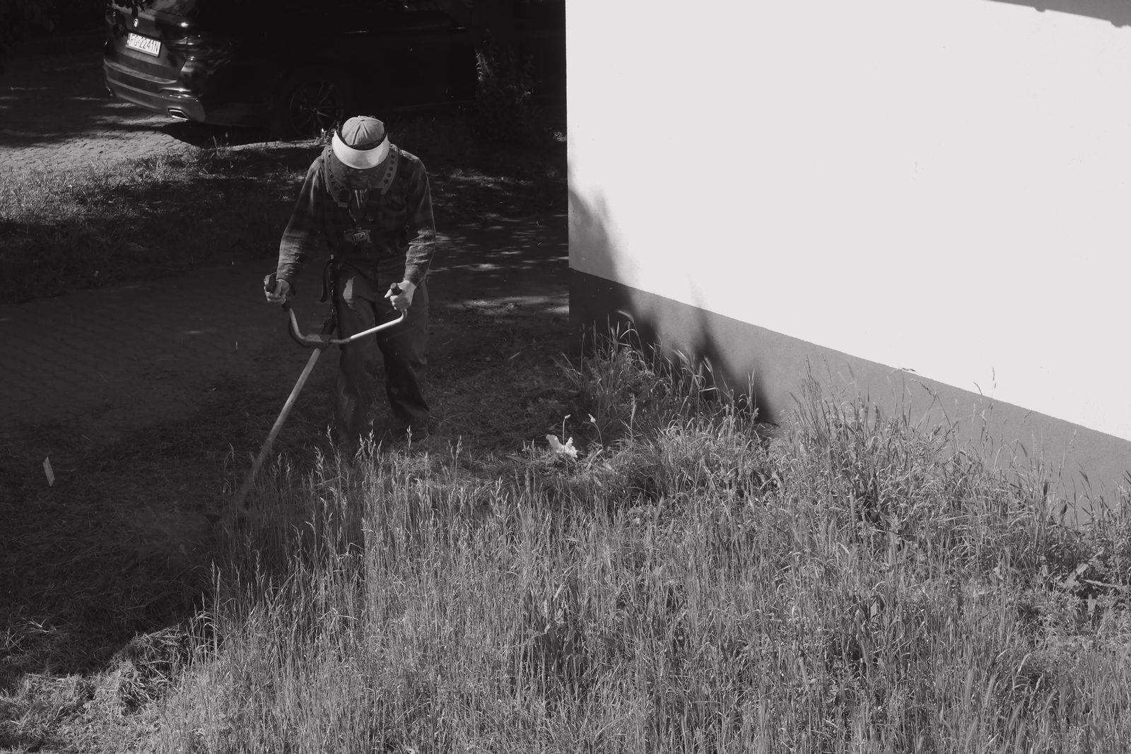 Grass Cutting Photos, Download The BEST Free Grass Cutting Stock Photos ...