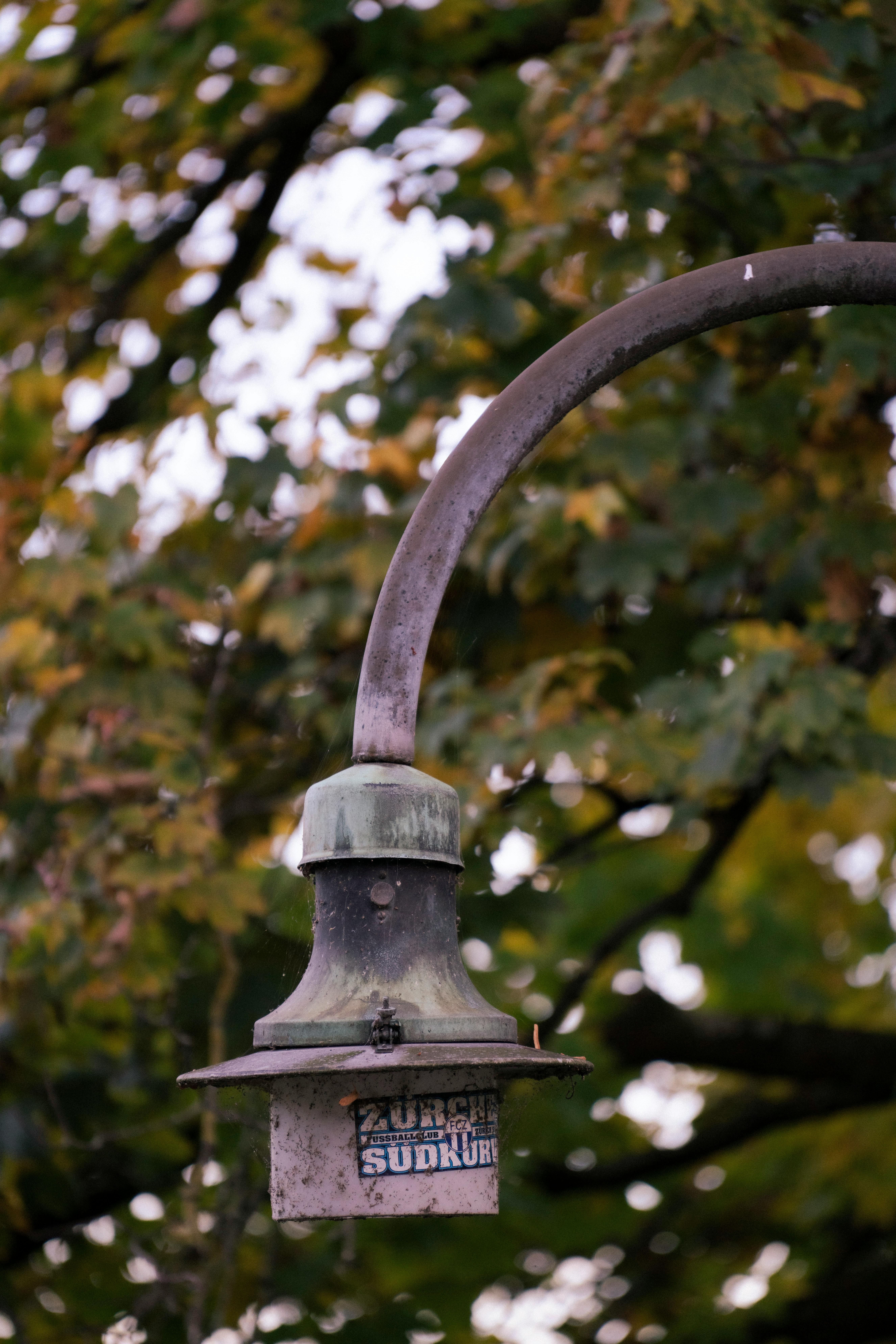 Rustic Street Lamp with Green Foliage Background · Free Stock Photo