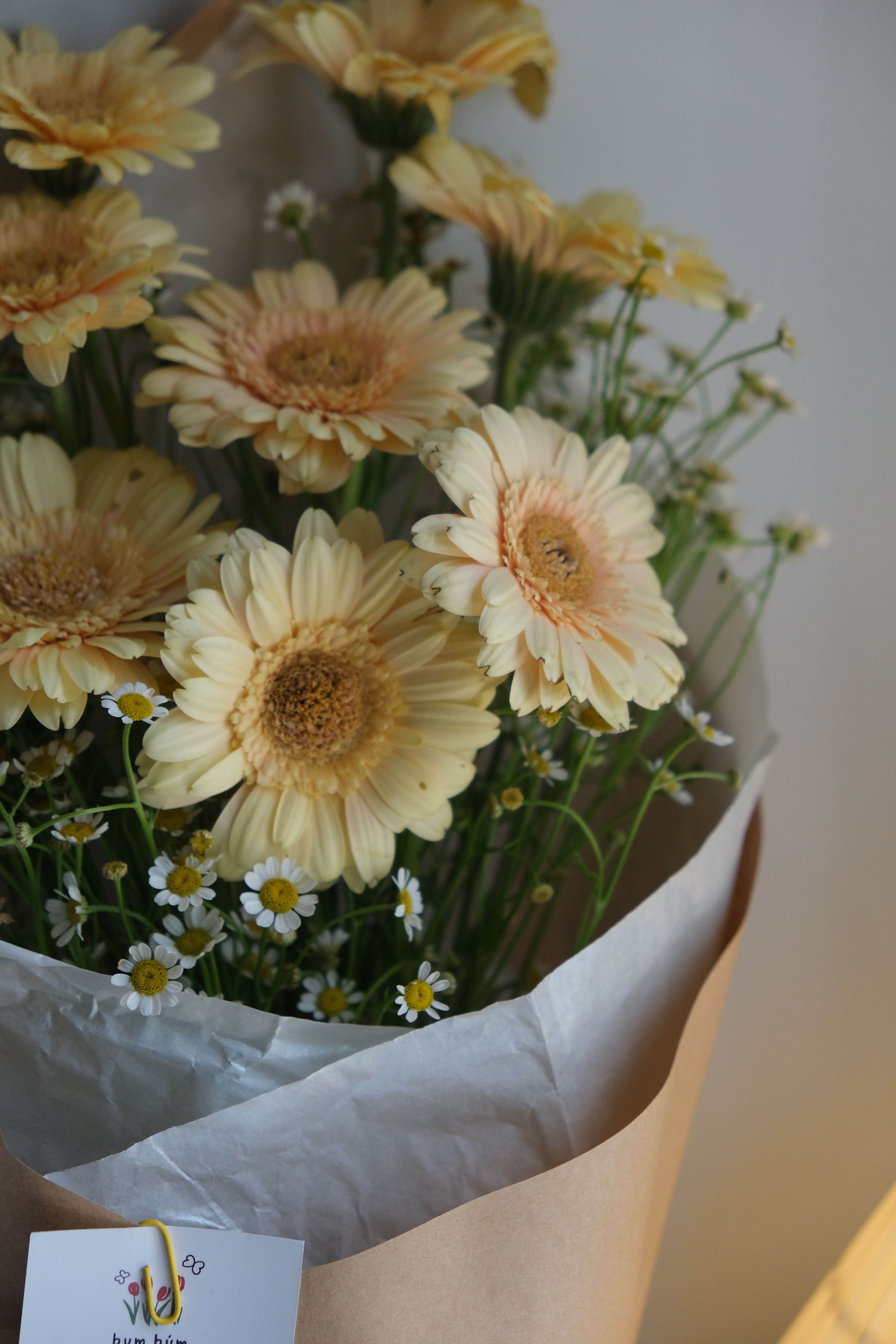 Elegant Bouquet of Yellow Gerberas and Daisies · Free Stock Photo