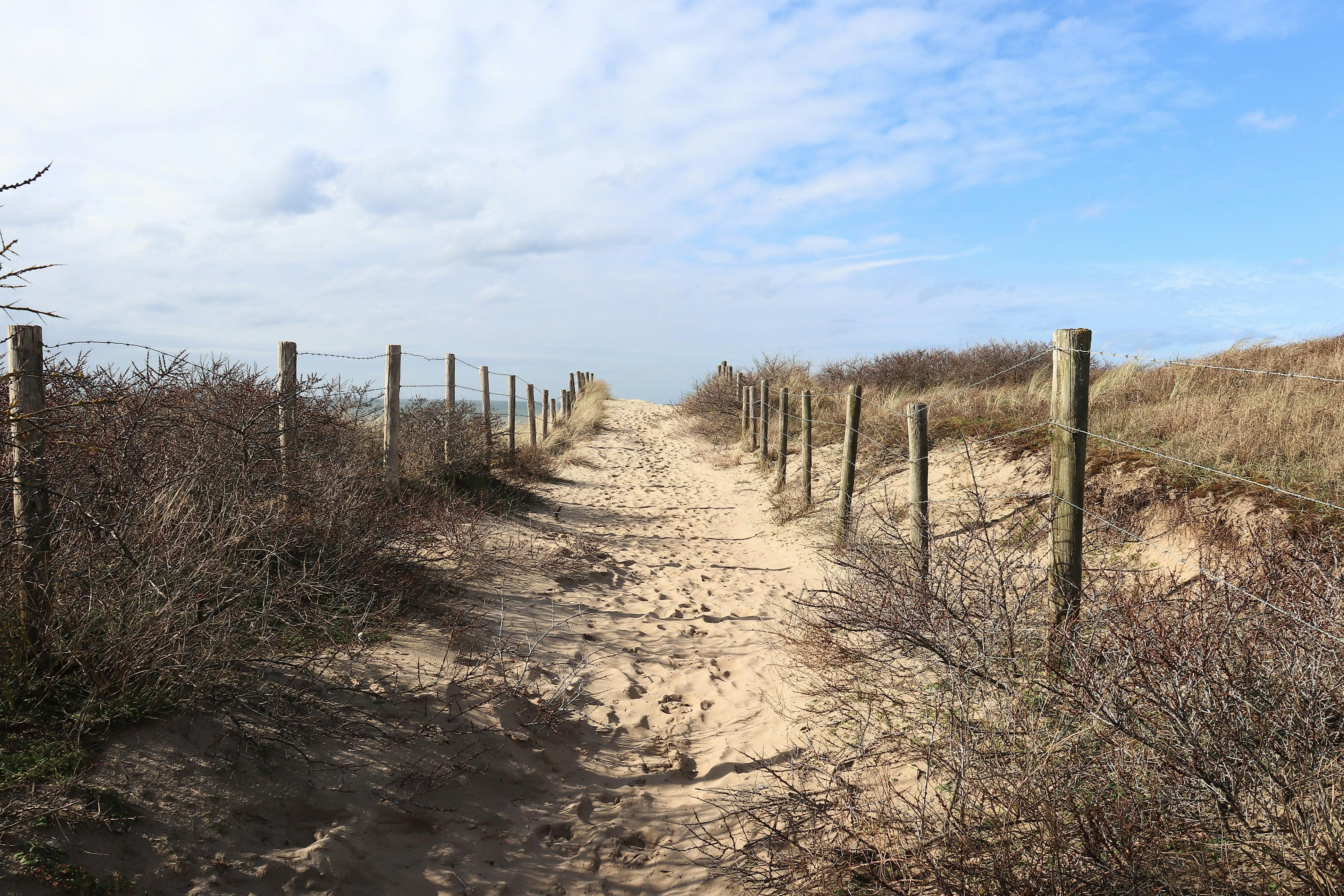 Sandy Coastal Pathway with Fencing and Blue Sky · Free Stock Photo