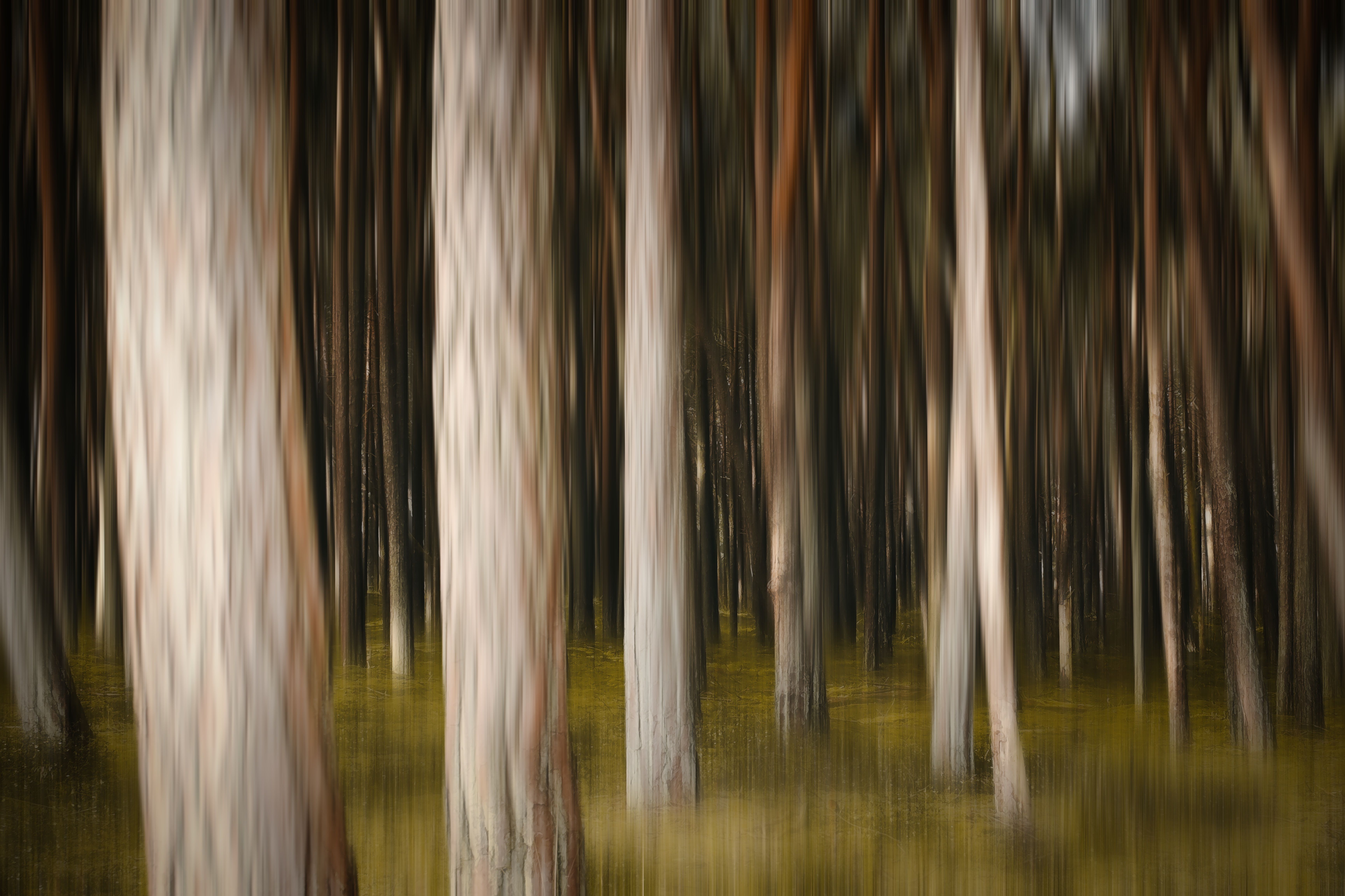 Quiet Motion Photos, Download The BEST Free Quiet Motion Stock Photos ...