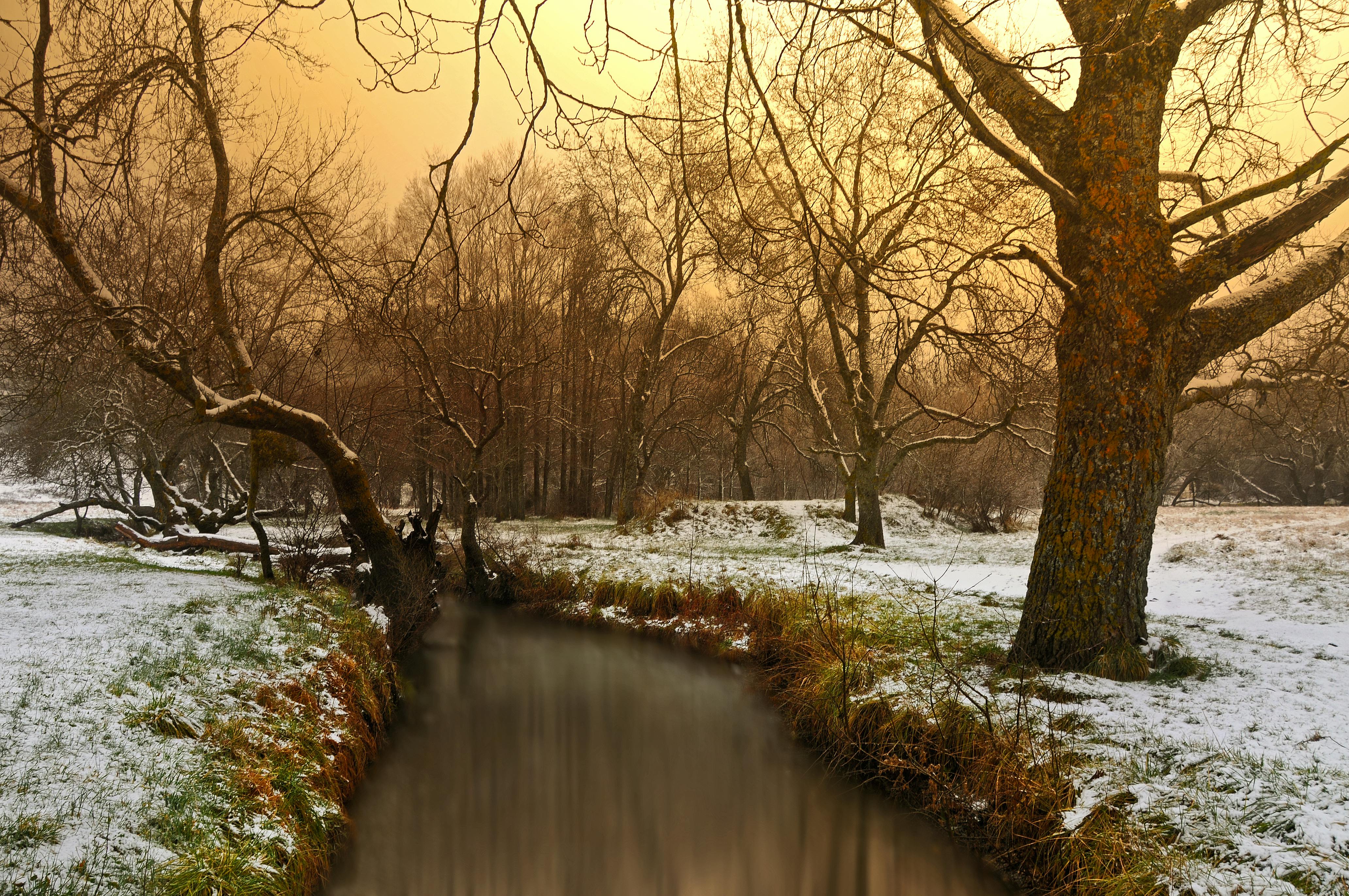 Serene Winter Scene in Ifrane, Morocco · Free Stock Photo
