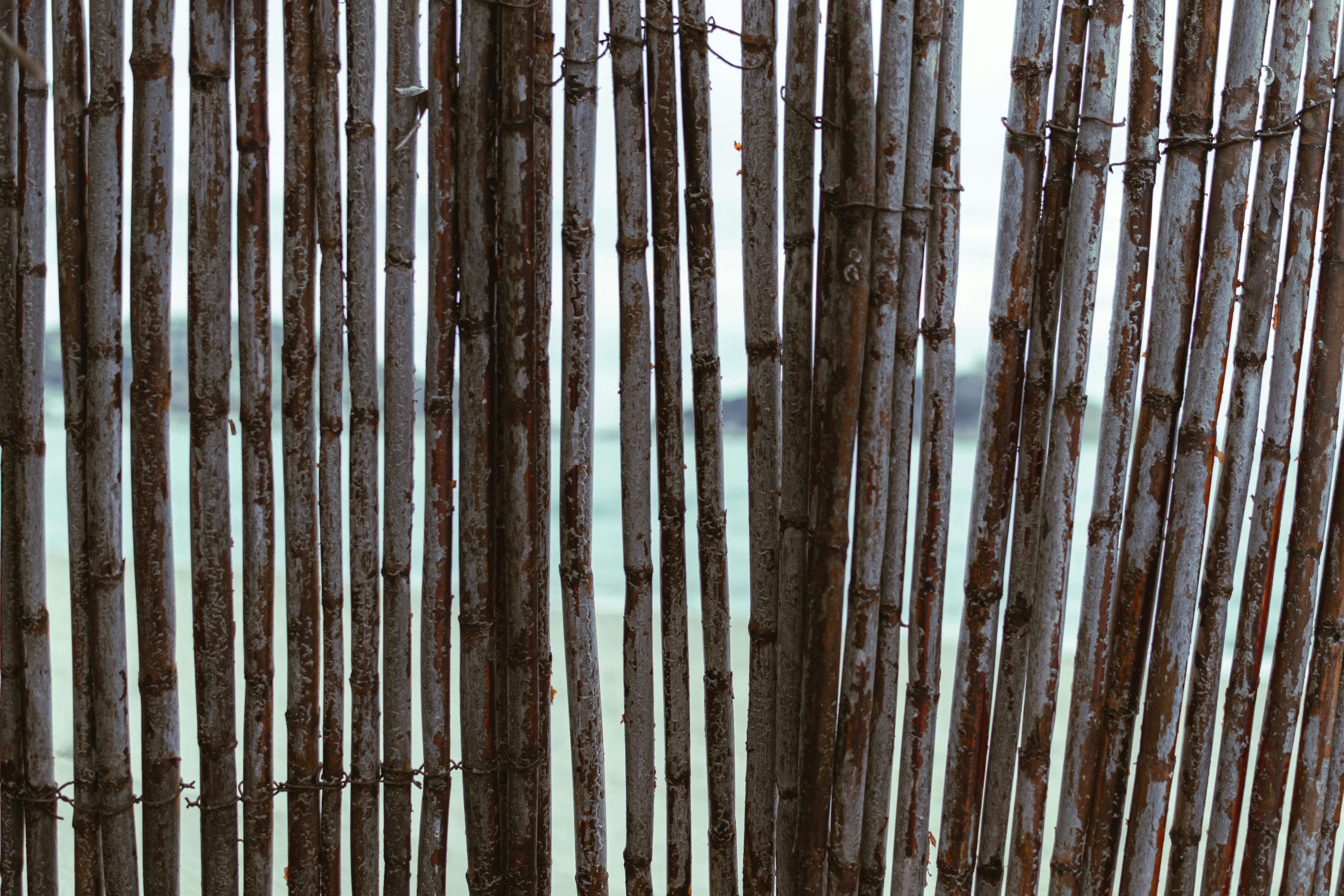 Rustic Cane Fence in Tabarka, Tunisia · Free Stock Photo
