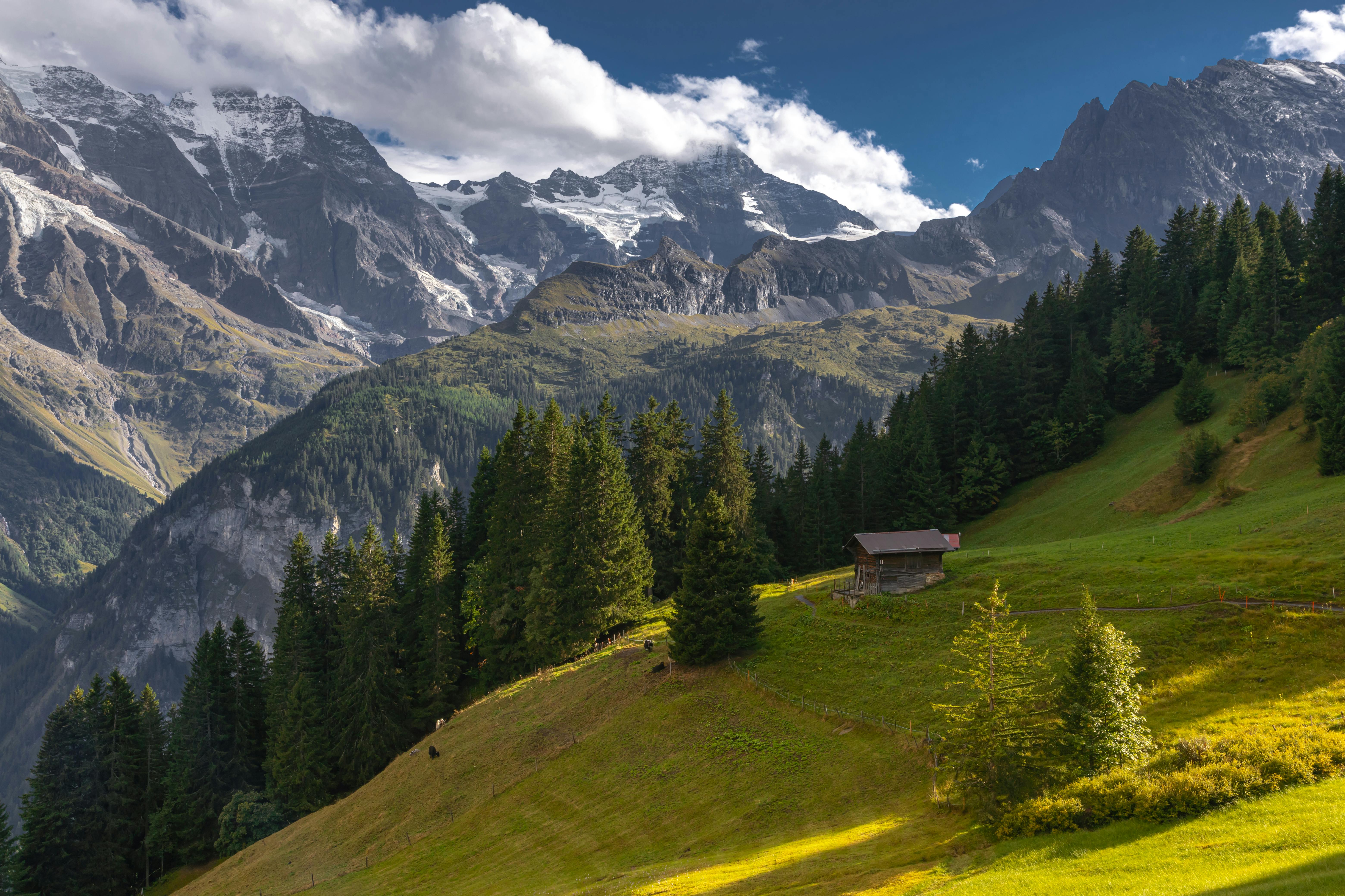 Scenic Alpine Landscape with Mountain Cabin · Free Stock Photo