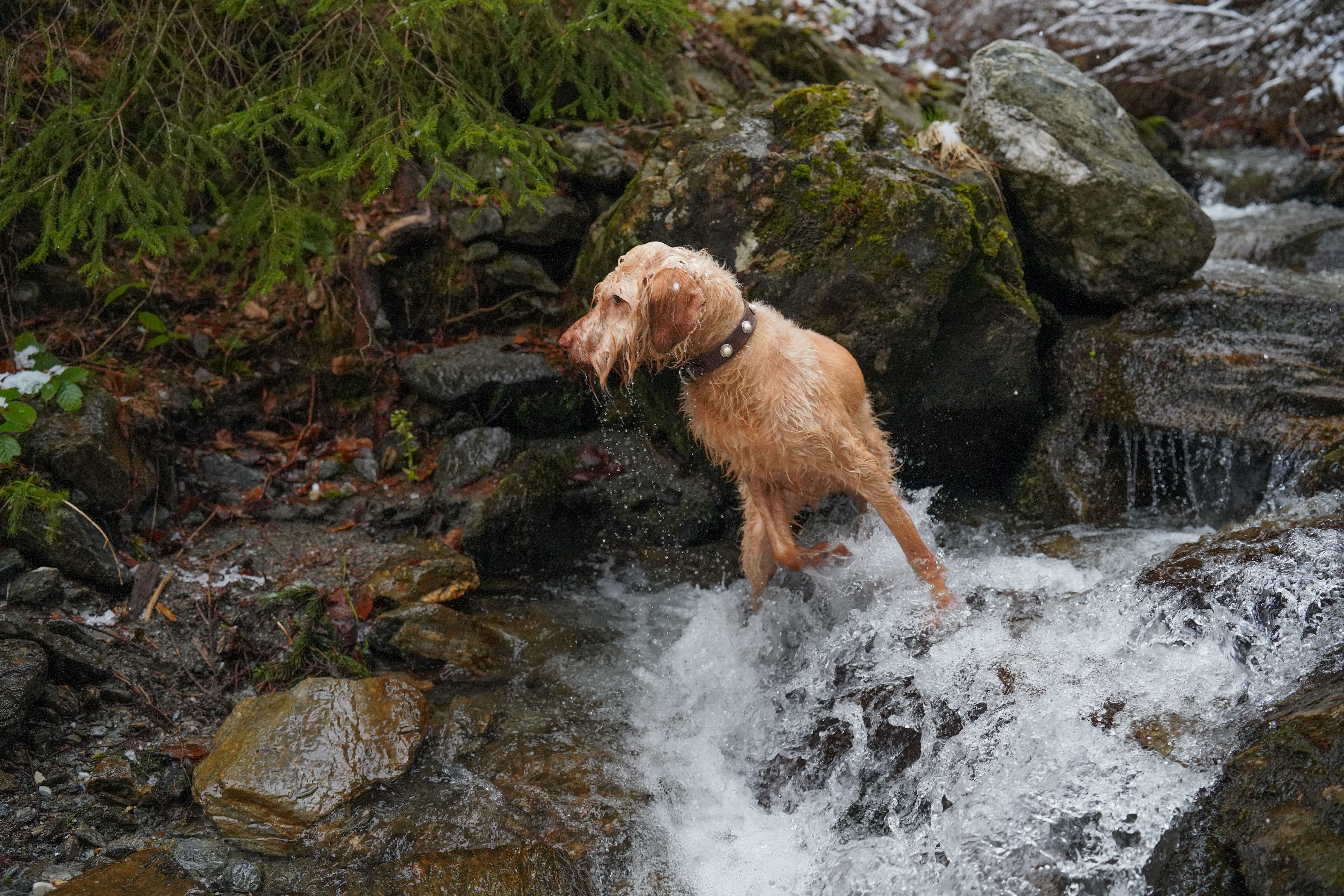 Waterfall With Water Running Through Rocks Photos, Download The BEST ...