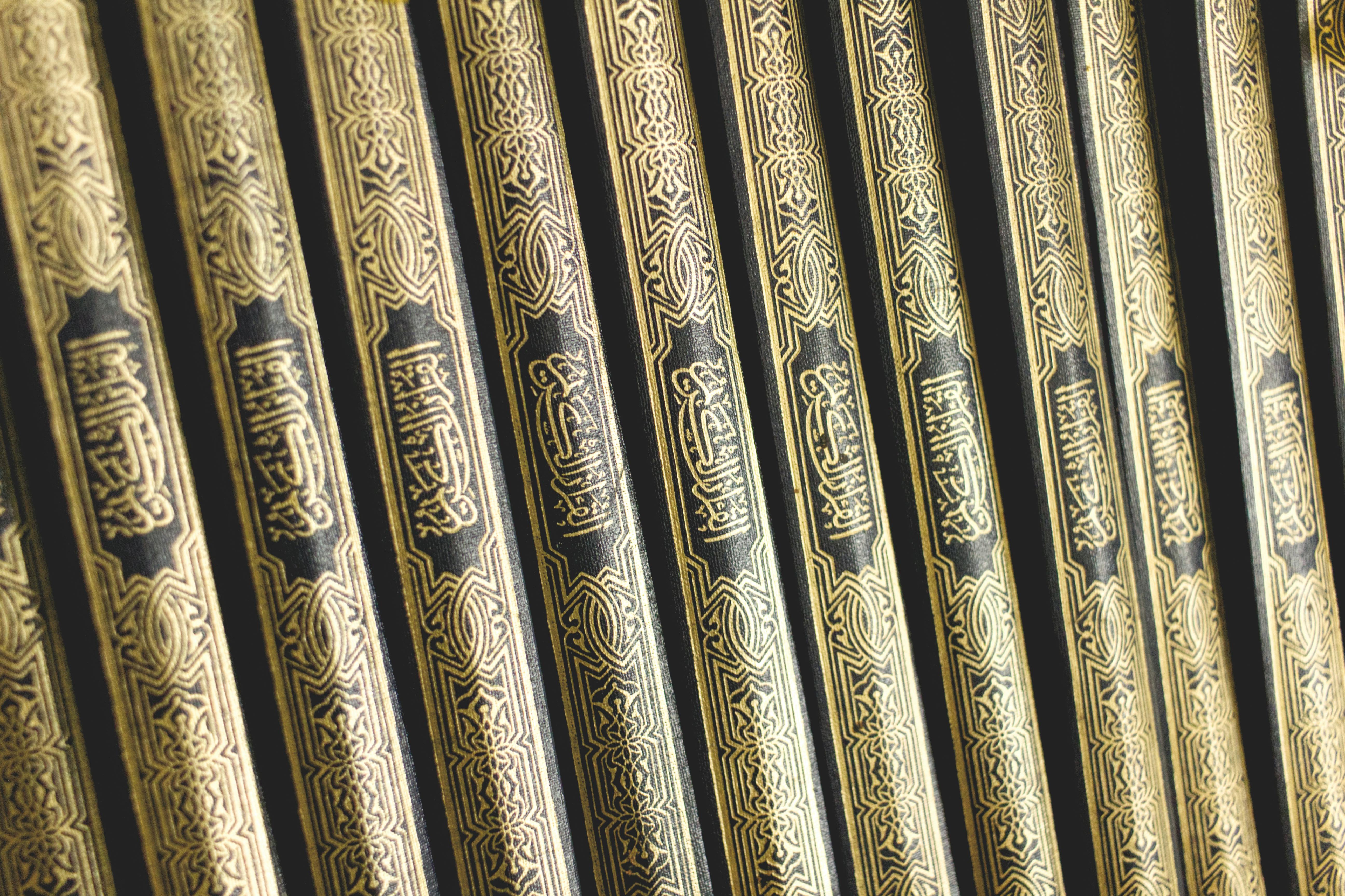 Arab Library Photos, Download The BEST Free Arab Library Stock Photos ...