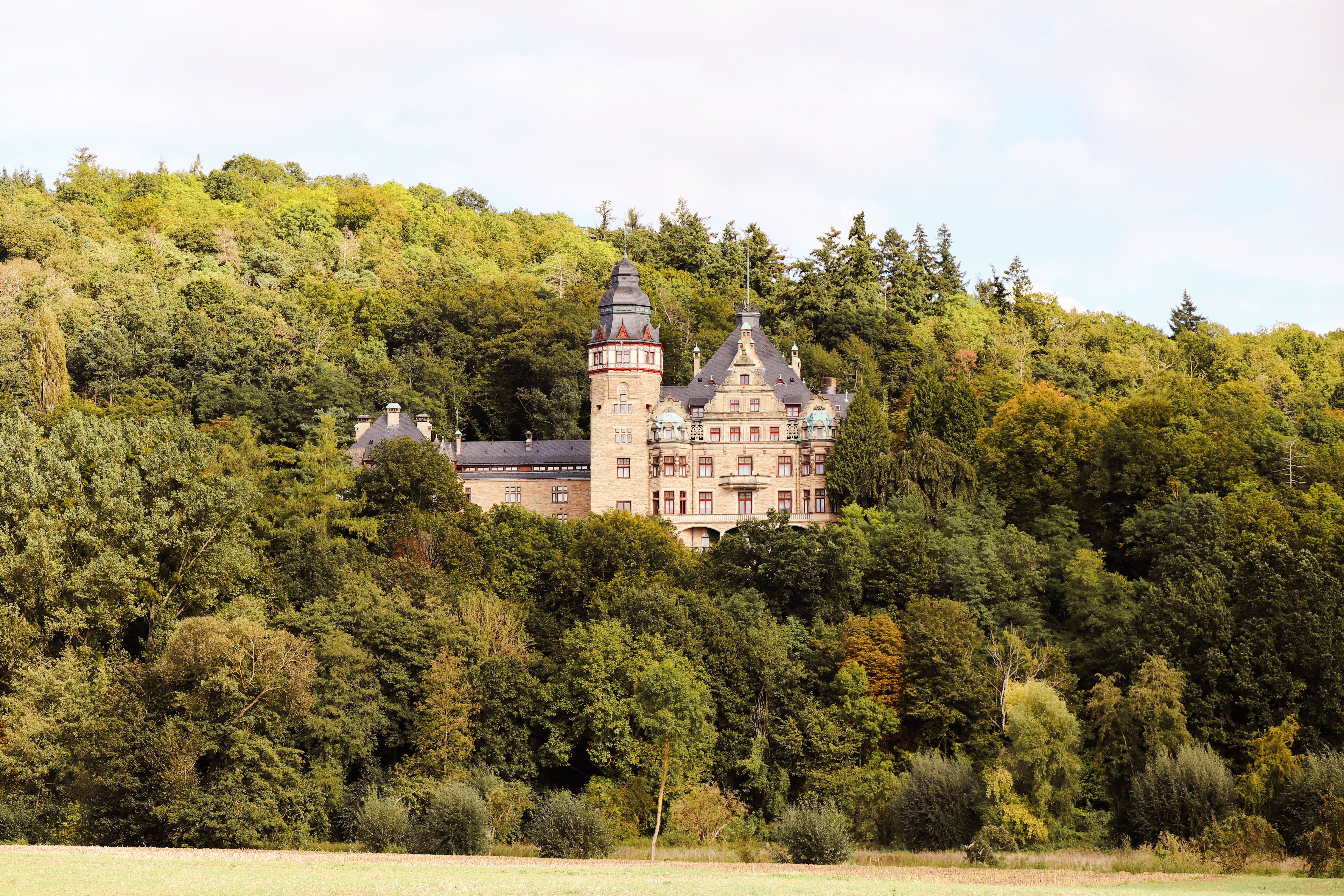 Historic Castle in Lush Green Forest Setting · Free Stock Photo