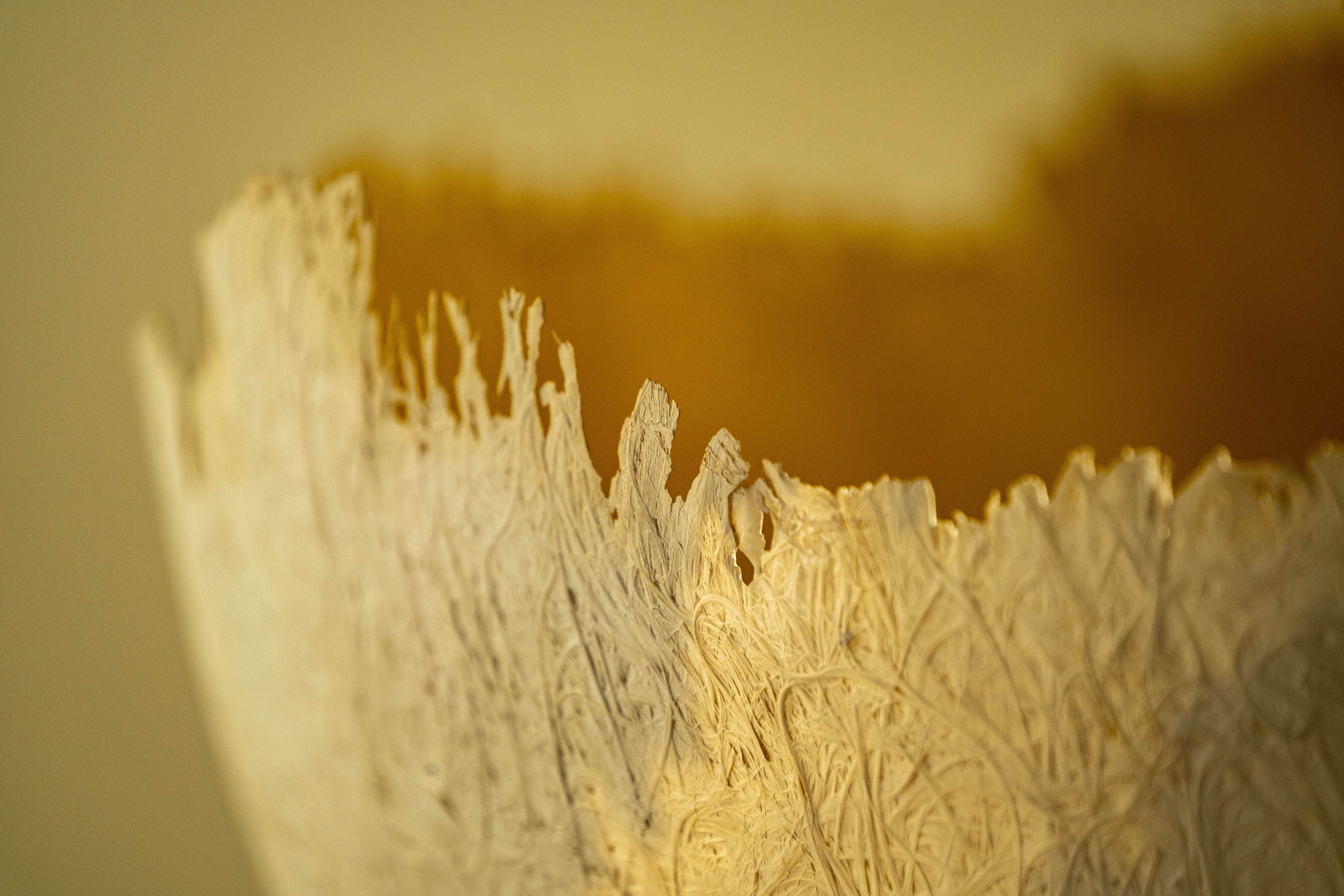 Close-up of Abstract Textured Surface Detail · Free Stock Photo