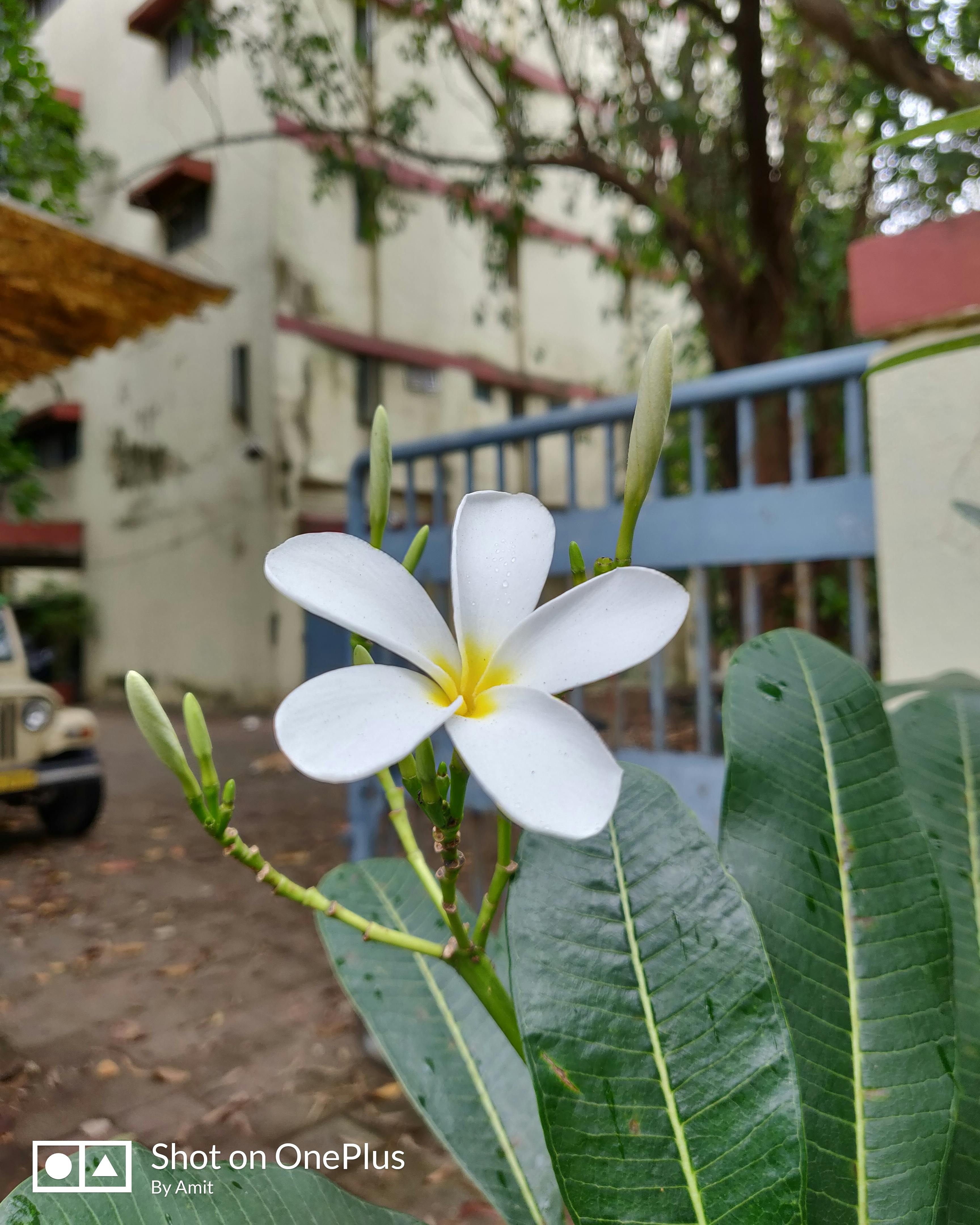 Amit Thakare – Fotografia