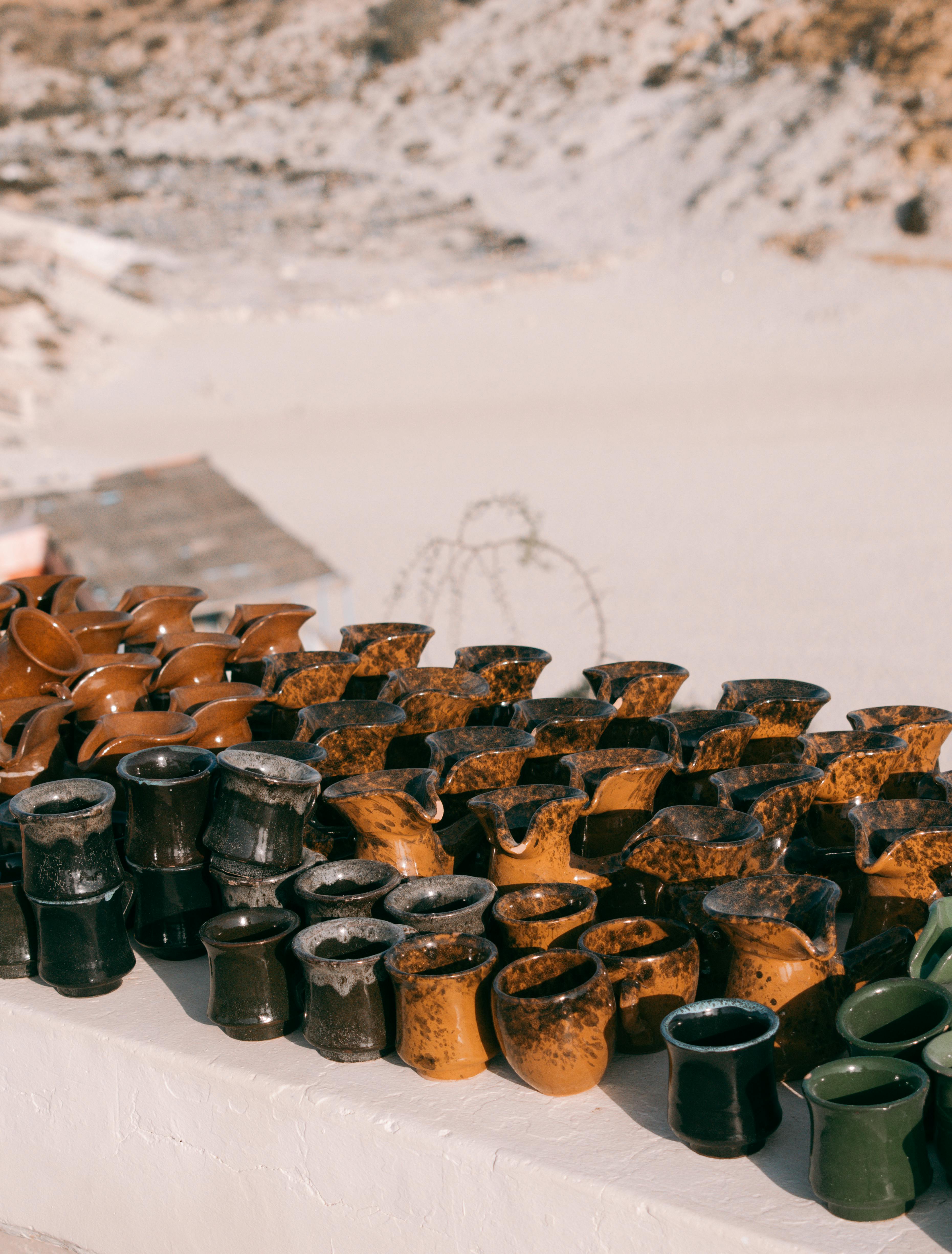 Shannon Swanick TPO Secrets Revealed: Unlock Success Today News