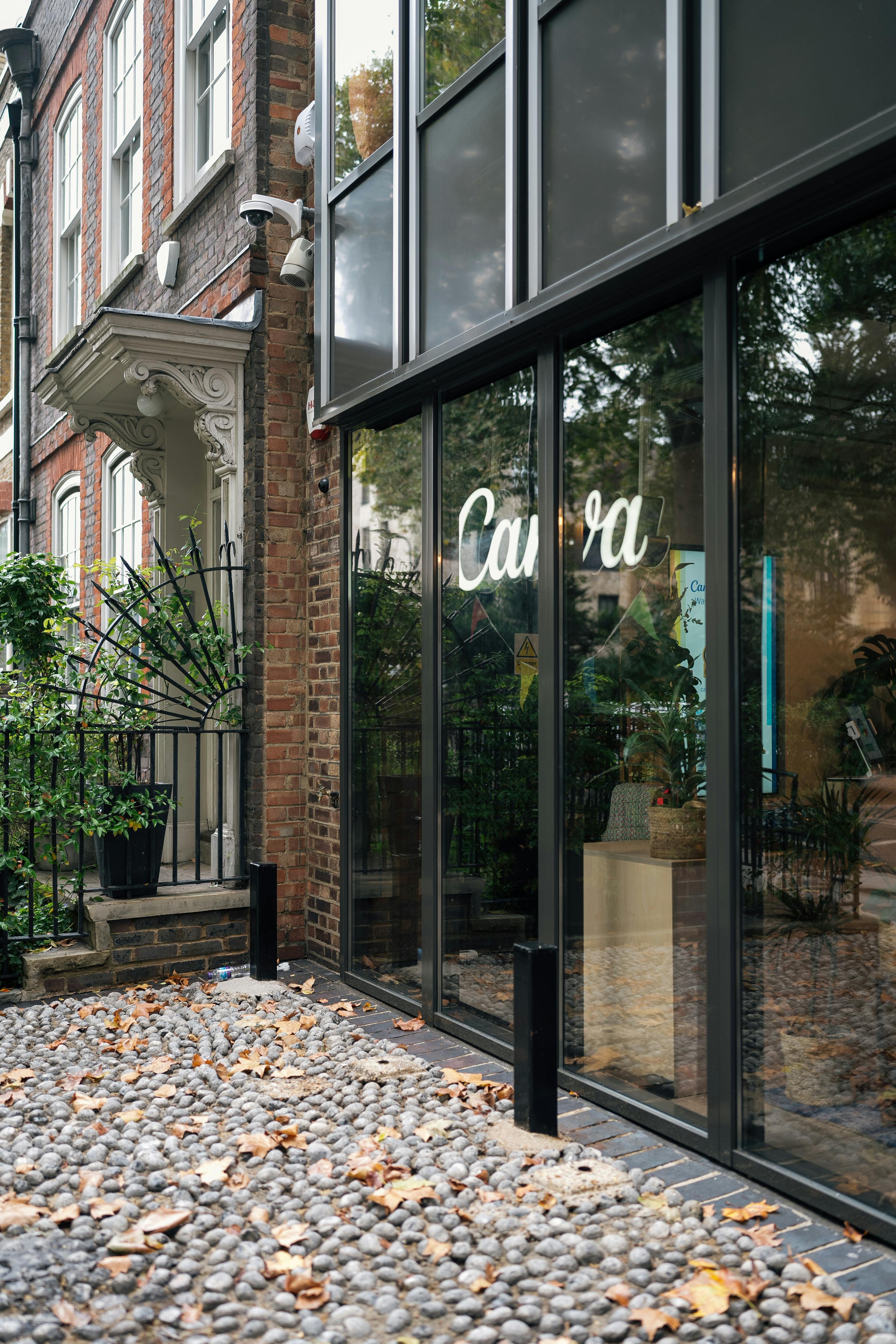 Canva Plants Photos, Download The BEST Free Canva Plants Stock Photos ...