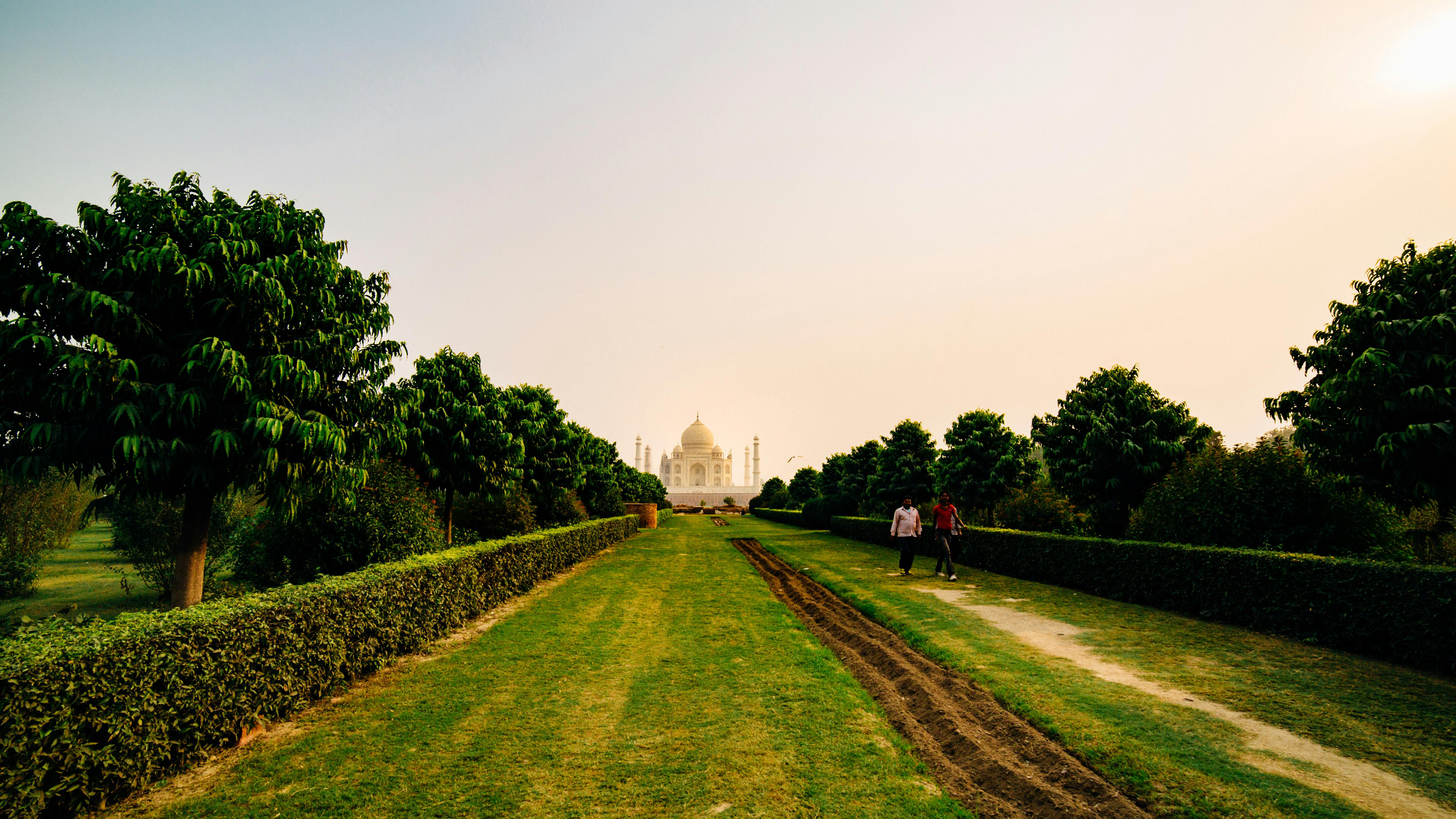 Taj Mahal and Green Grassy Walkway · Free Stock Photo